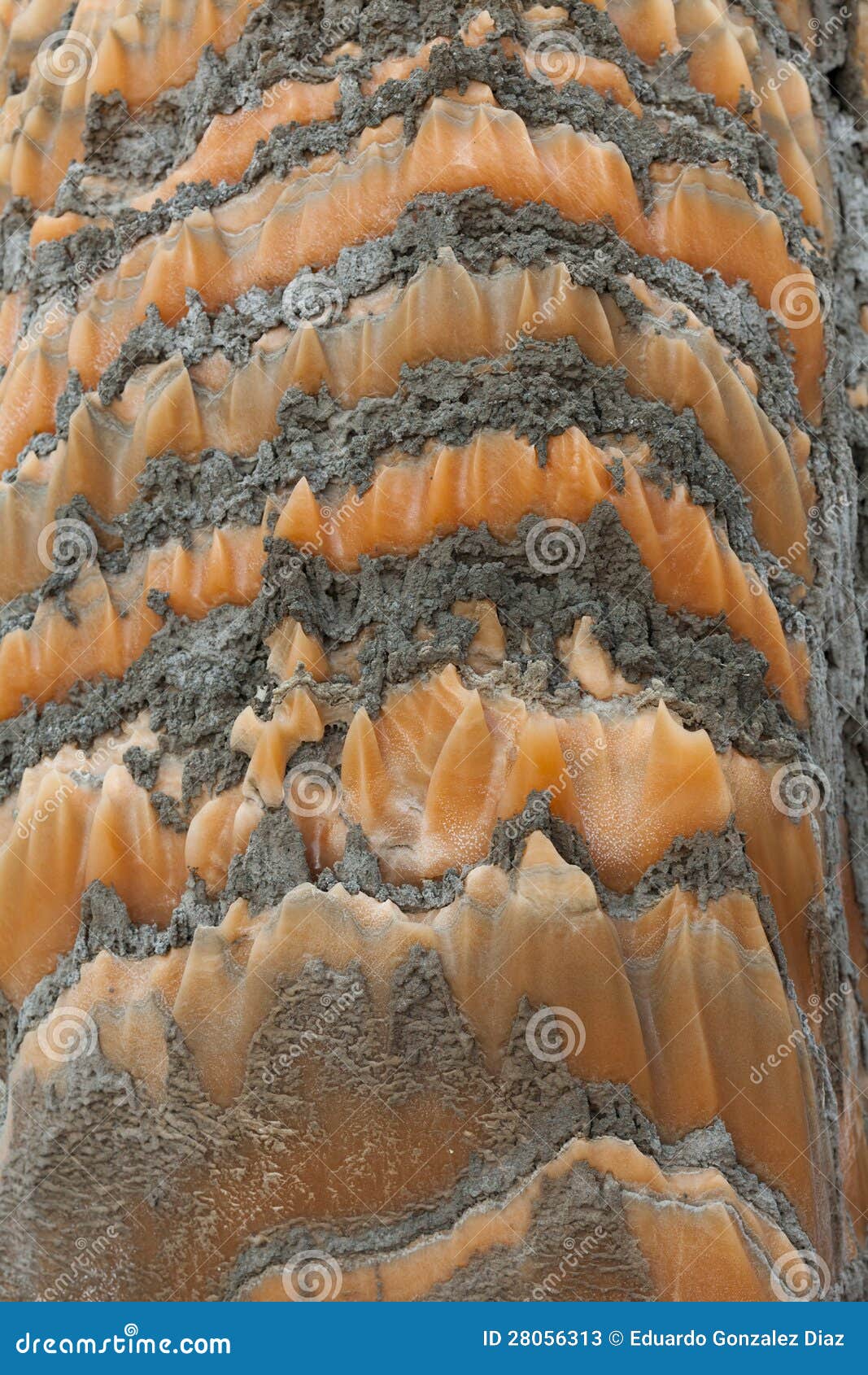 蒸发岩 库存图片. 图片 包括有 卤素, 印度榕树, 岩石, 形成, 最小值, 宝石, 膏药, 橙色 - 28056313