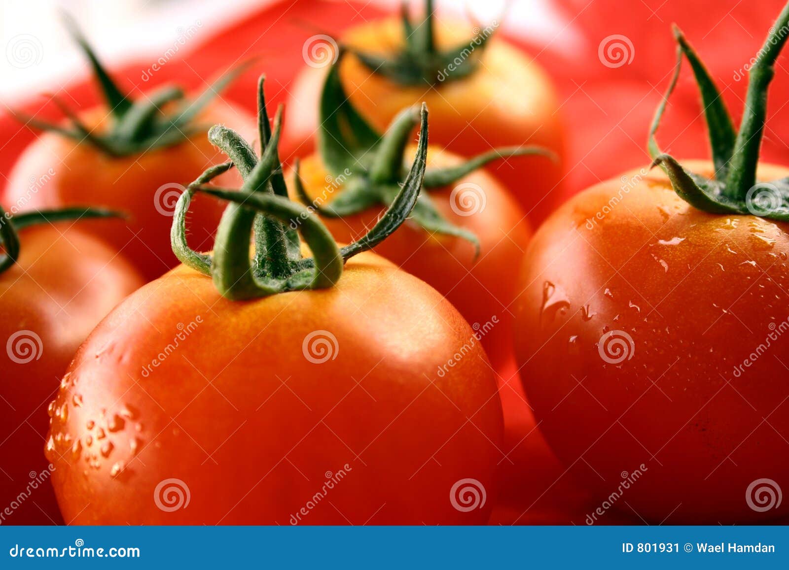 Tomatoes 库存图片. 图片 包括有 沙拉, 蔬菜, 仍然, 果子, 新鲜, 生活, 烹调, 下落, 食物 - 801931
