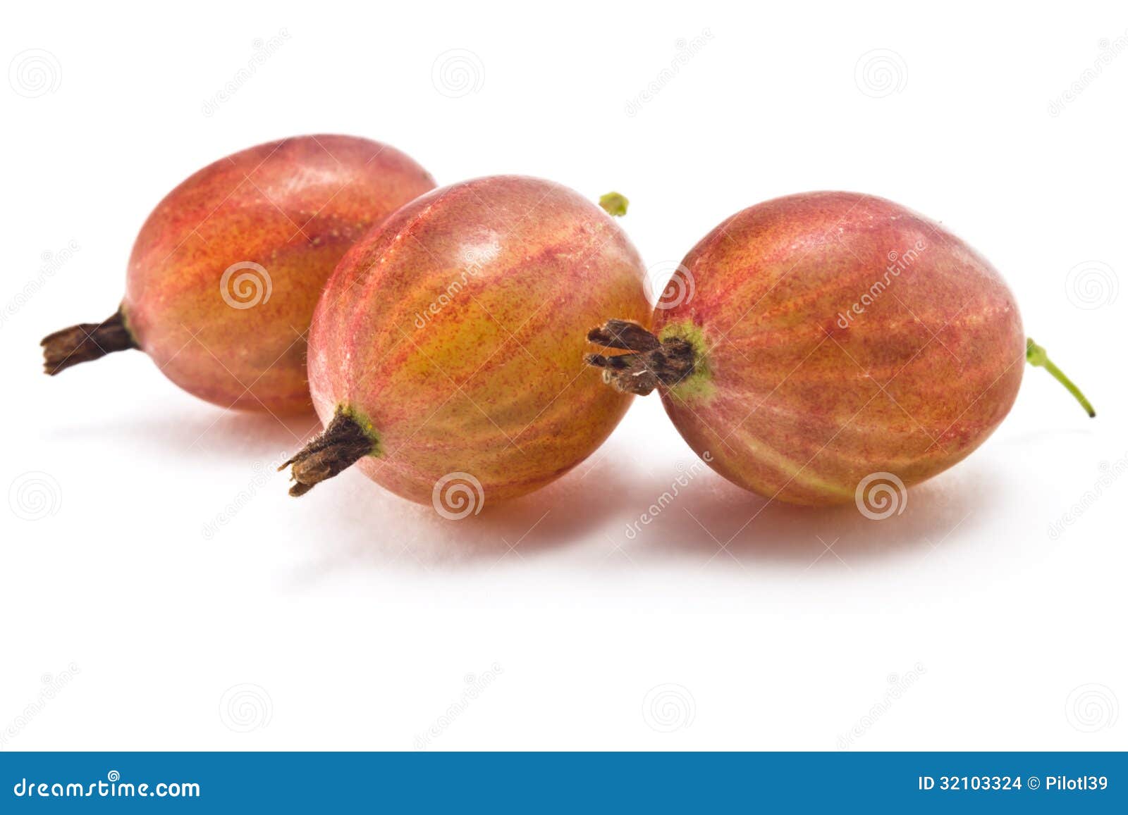 Gooseberry 库存照片. 图片 包括有 图象, 茶点, 背包, 成熟, 没人, 工厂, 要素, 工作室 - 32103324