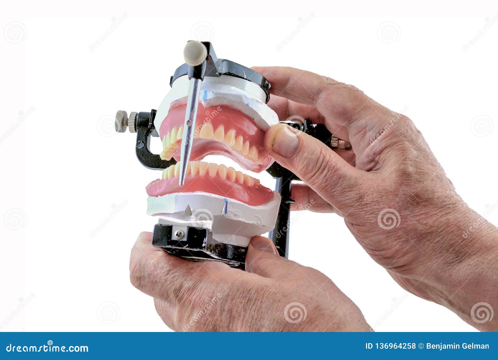 Â Checking and Setting Teeth of Dentures Stock Photo - Image of health ...