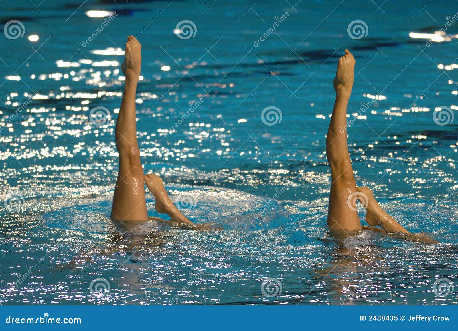024 synchro image stock. Image du regroupement, pattes - 2488435