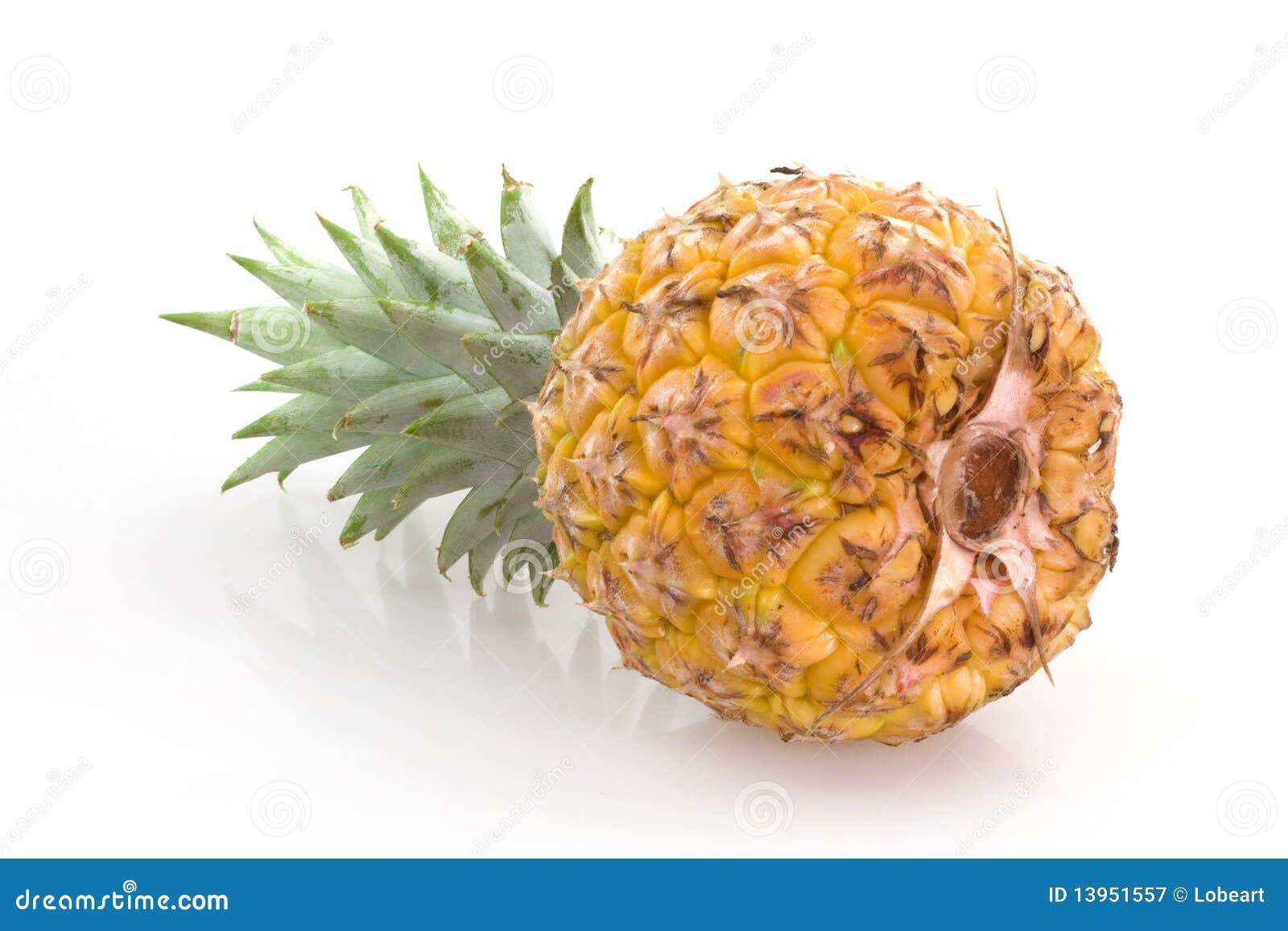 1 verse ananas stock afbeelding. Image of rijp, groen - 13951557