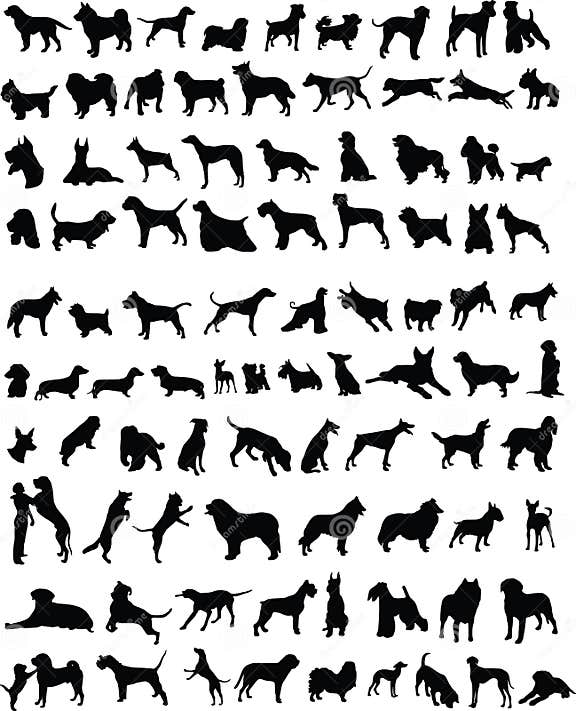 100 dogs stock vector. Illustration of chow, boxer, poodle - 5724006