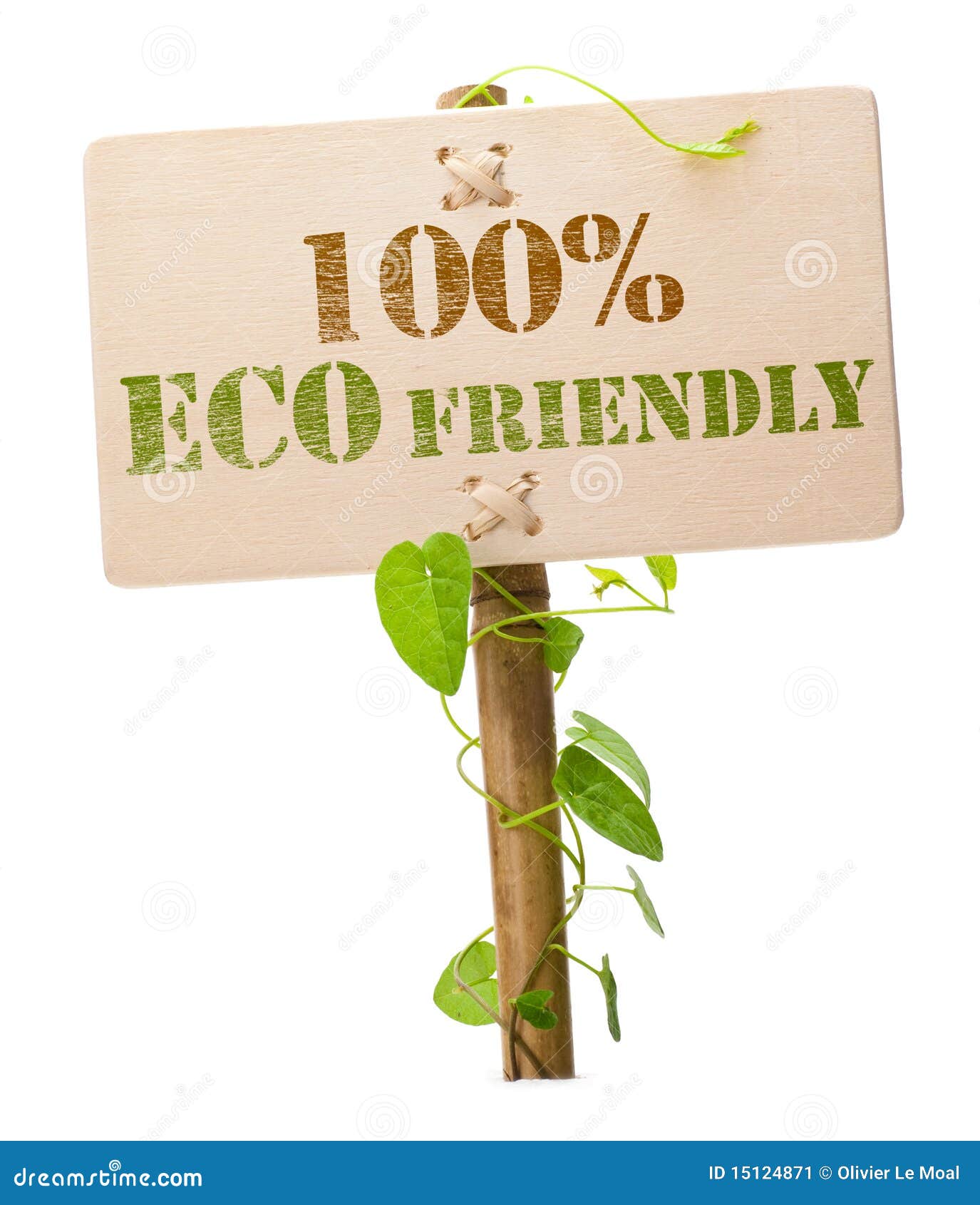 100 Eco Friendly Green Sign Stock Image - Image of ideas, natural: 15124871