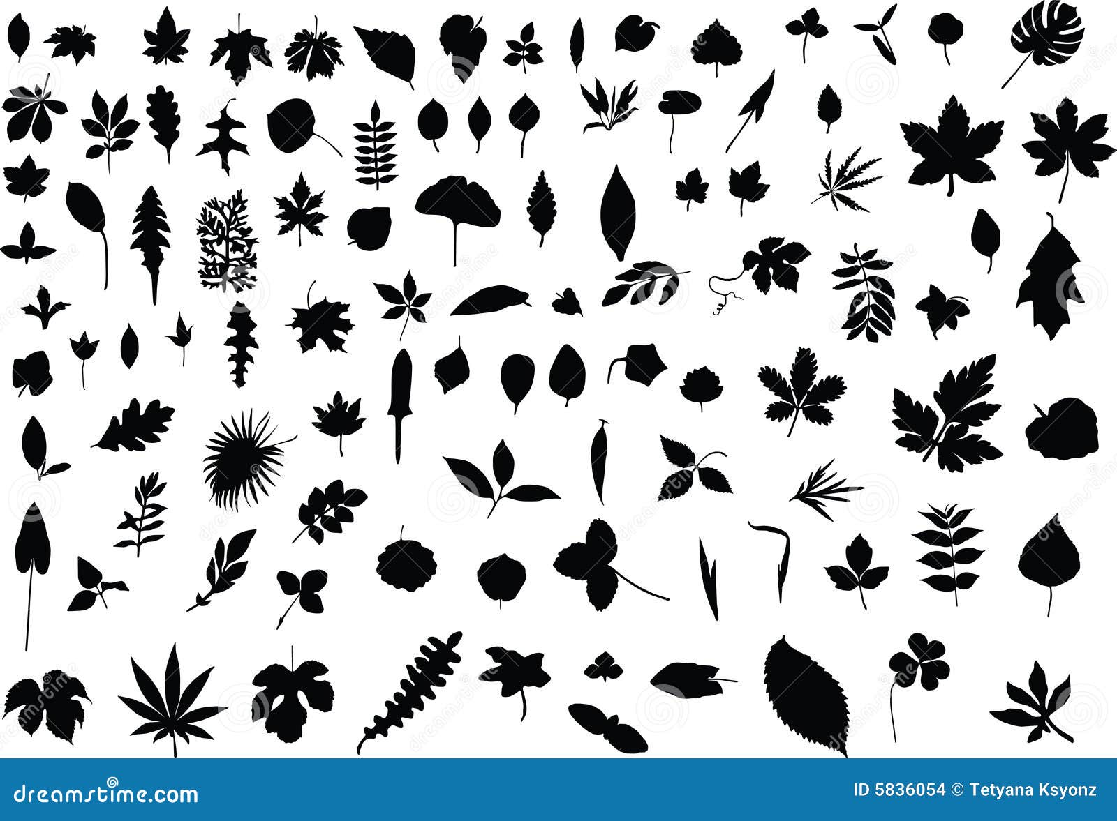 100 leaves stock vector. Illustration of isolated, branch - 5836054