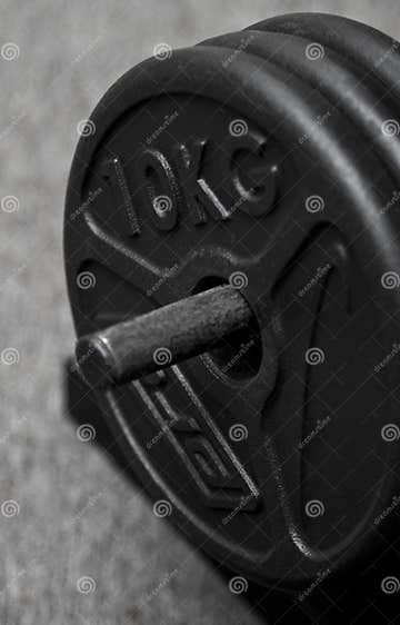 10kg barbell weights stock image. Image of weights, equipment - 28917493
