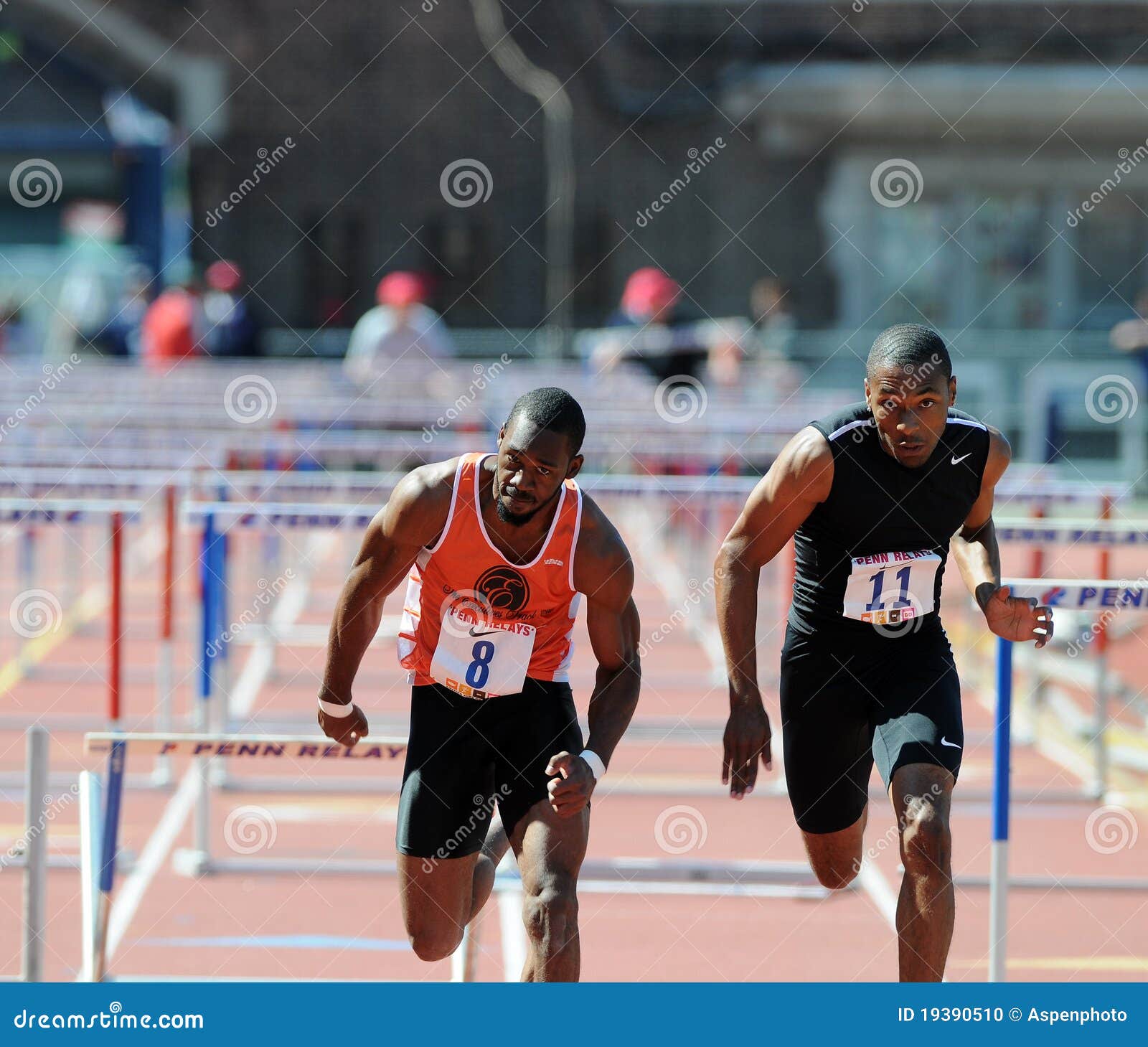 110 Meter Hurdles at the 2011 Penn Relays Editorial Image - Image of ...
