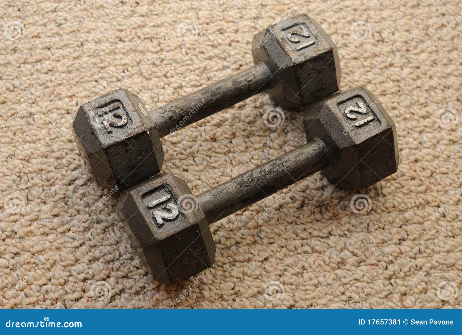 12 Pound Dumb Bells stock image. Image of berber, light - 17657381