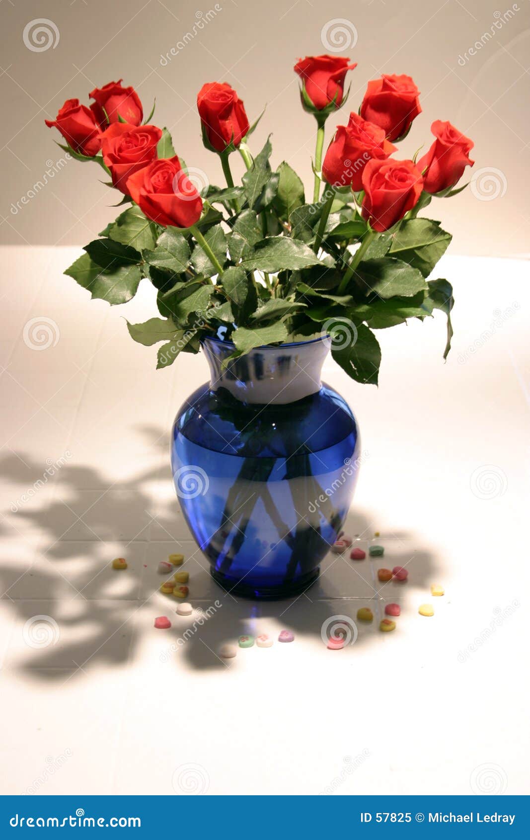 12 Rose Rosse Del Gambo Lungo in Vaso Immagine Stock - Immagine di dare ...