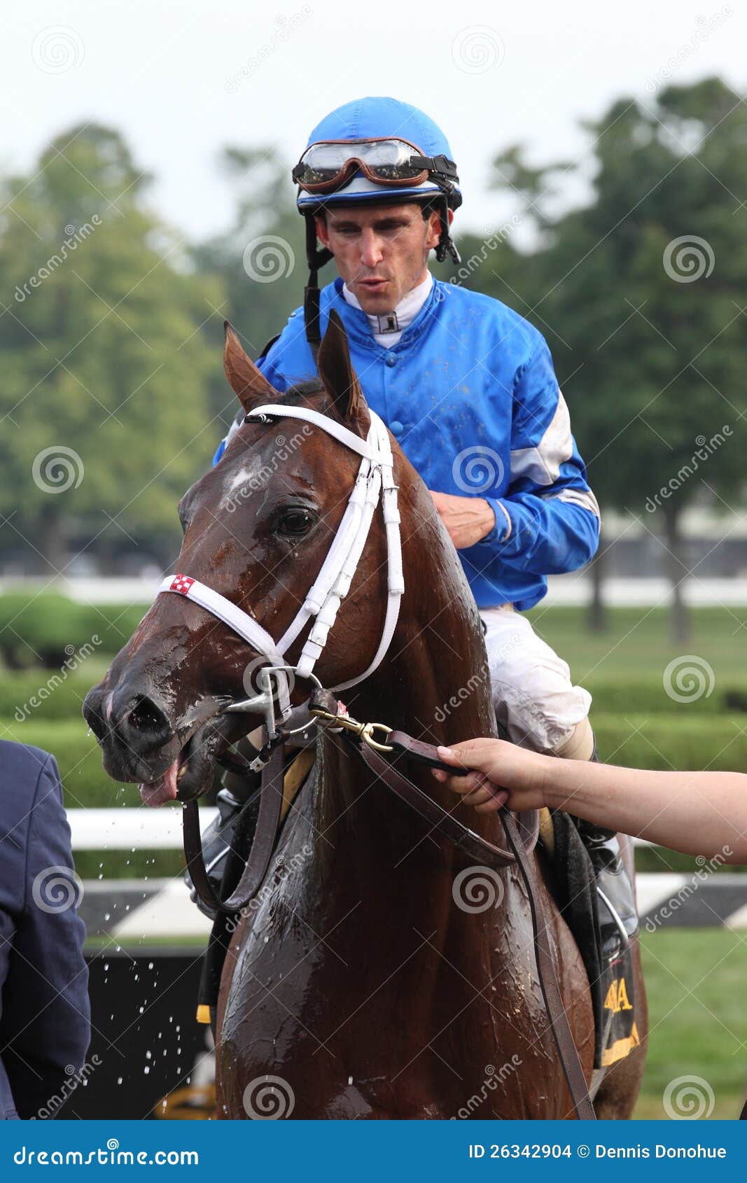 143rd Running of the Travers Stakes Editorial Stock Image - Image of ...