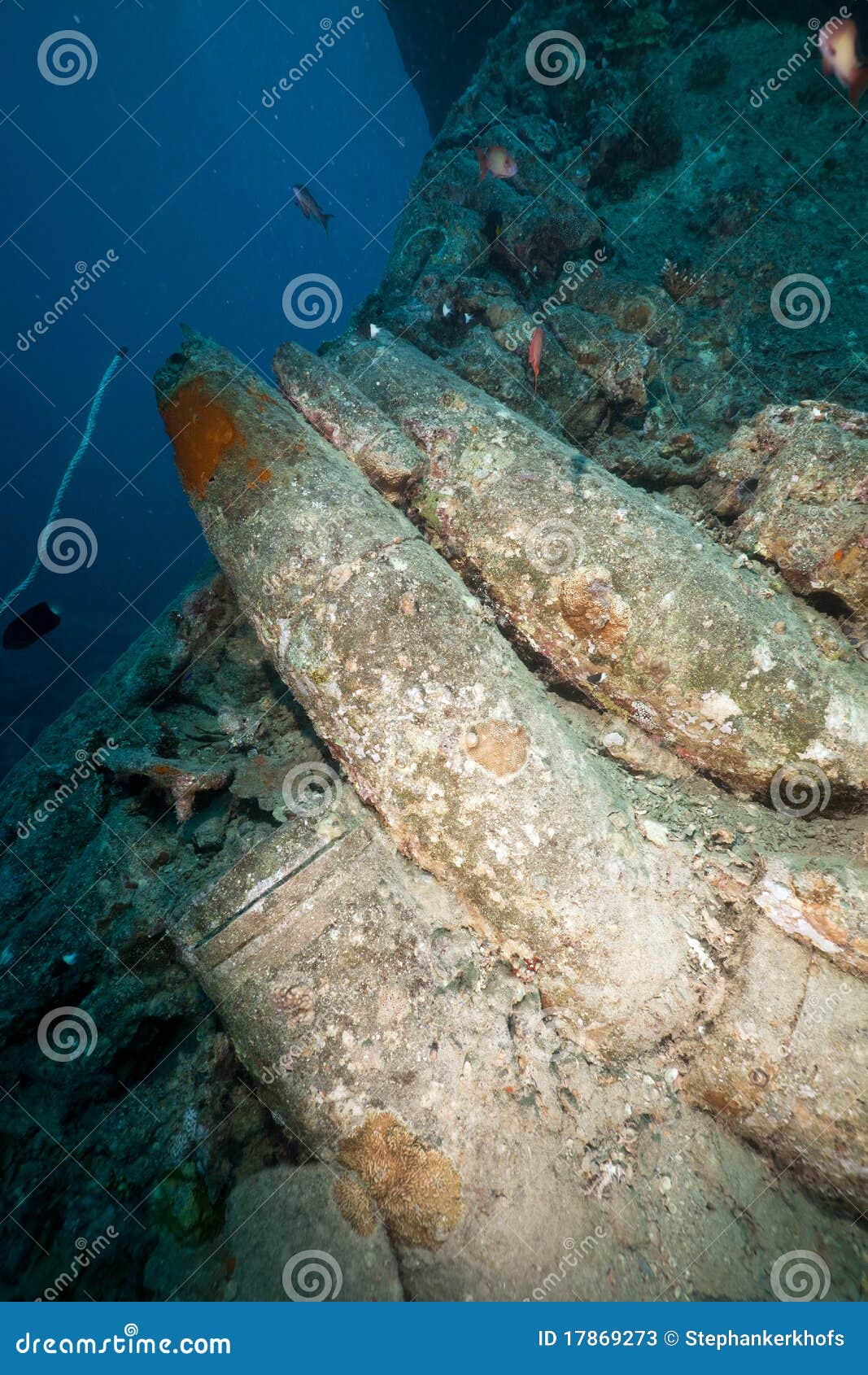 15 Shells on the SS Thistlegorm. Stock Image - Image of dive, seascape ...