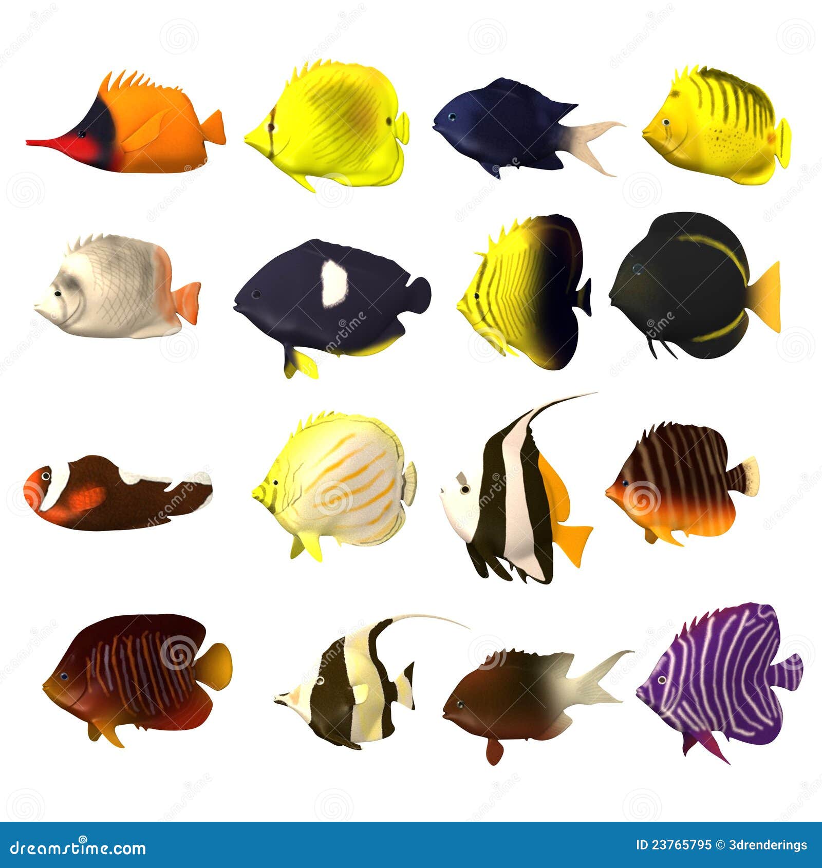 16 Fishes Collection Royalty Free Stock Photo - Image: 23765795