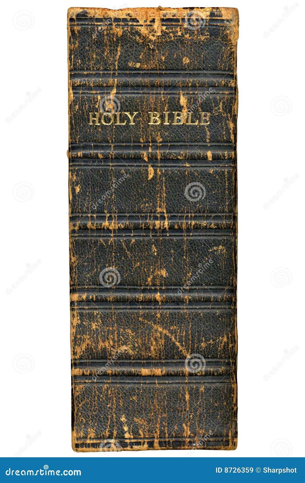 1868 Victorian Bible Spine Isolated Over White. Stock Image - Image of ...