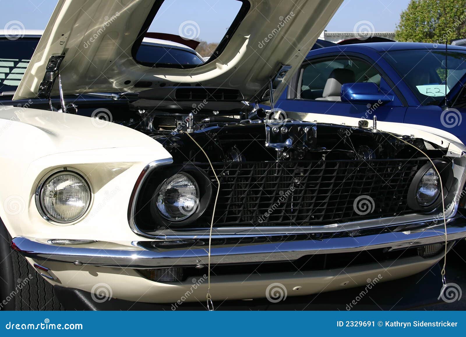 1969 Ford Mustang Front Grill Picture. Image: 2329691