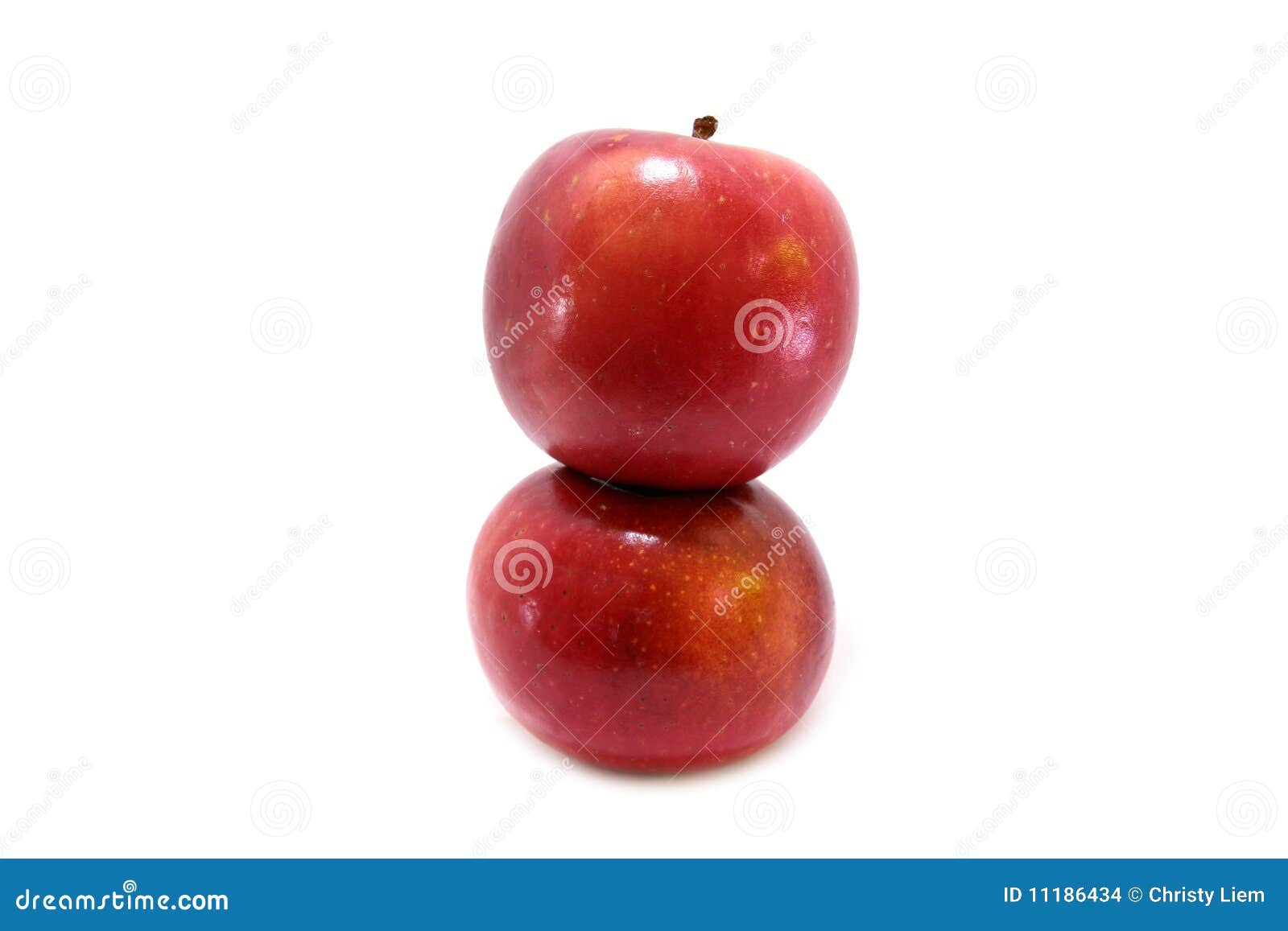 2_apples_vertical stock photo. Image of fruity, seasonal - 11186434