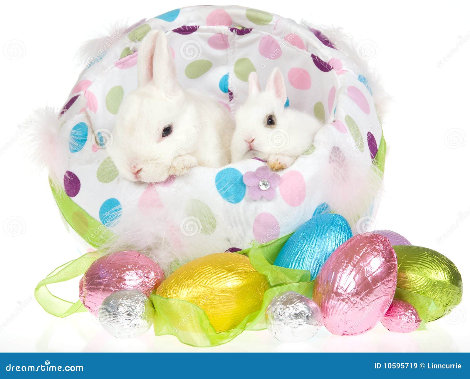 2 bunnies with easter eggs stock image. Image of large - 10595719