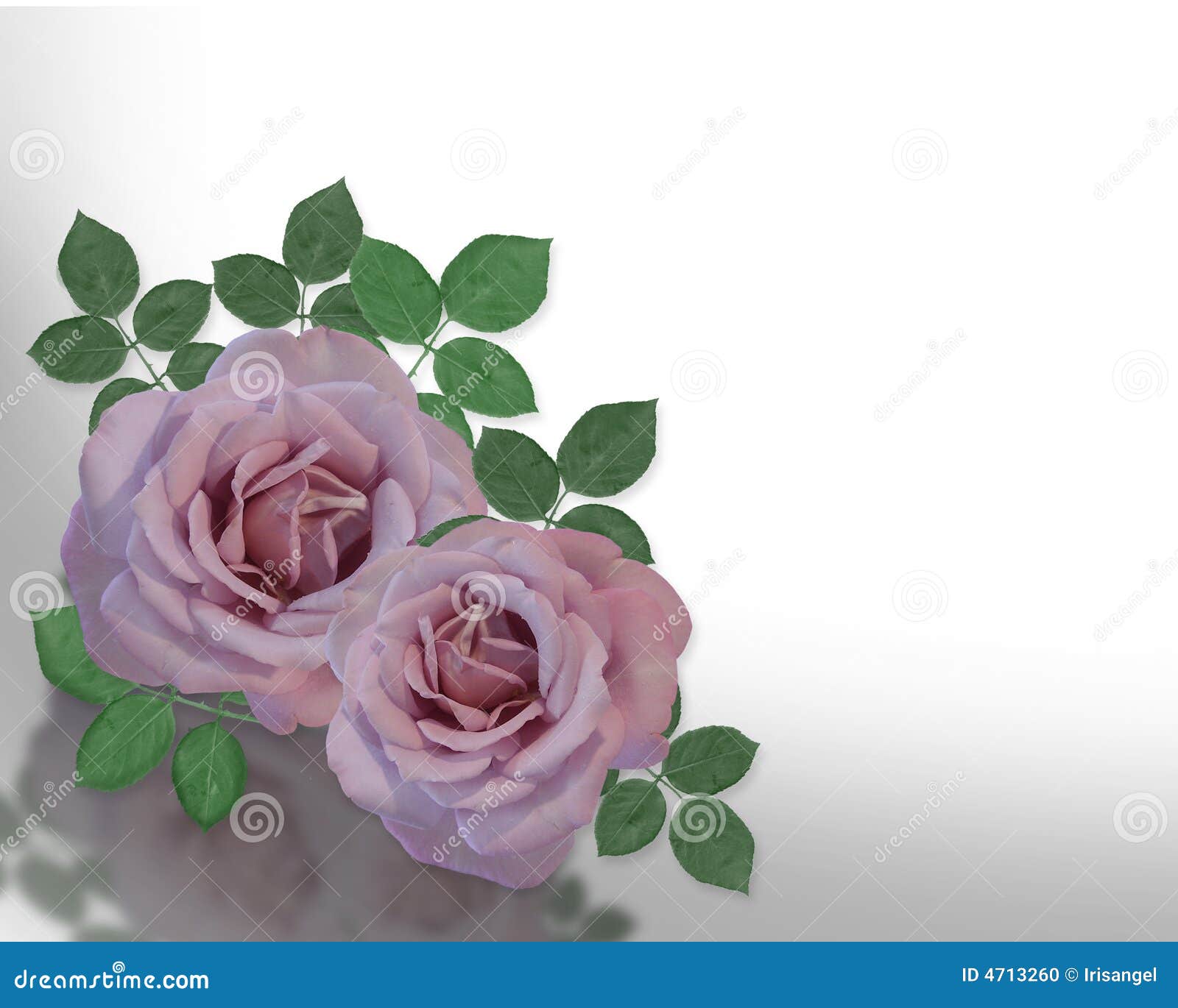 Lavender Roses Wedding Border Royalty-Free Illustration | CartoonDealer ...