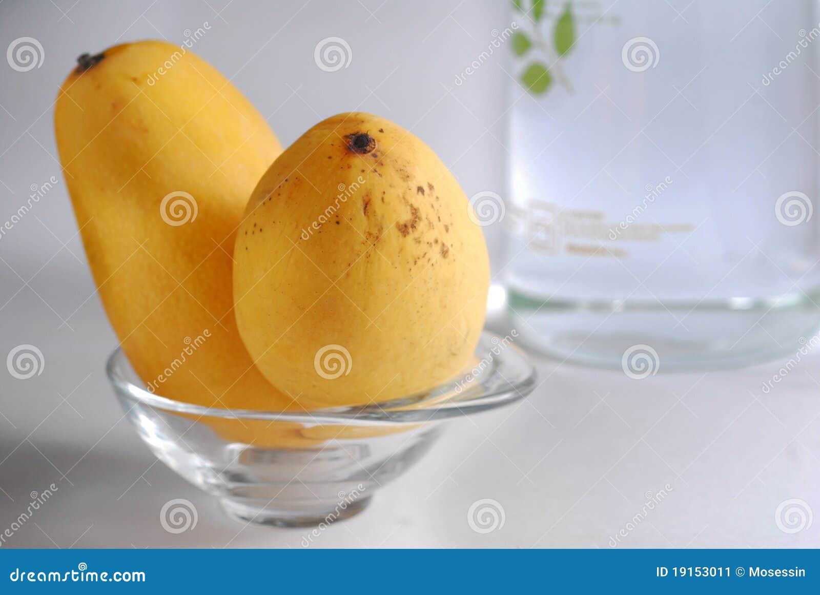 2 mangos stock image. Image of water, juice, yellow, glass - 19153011