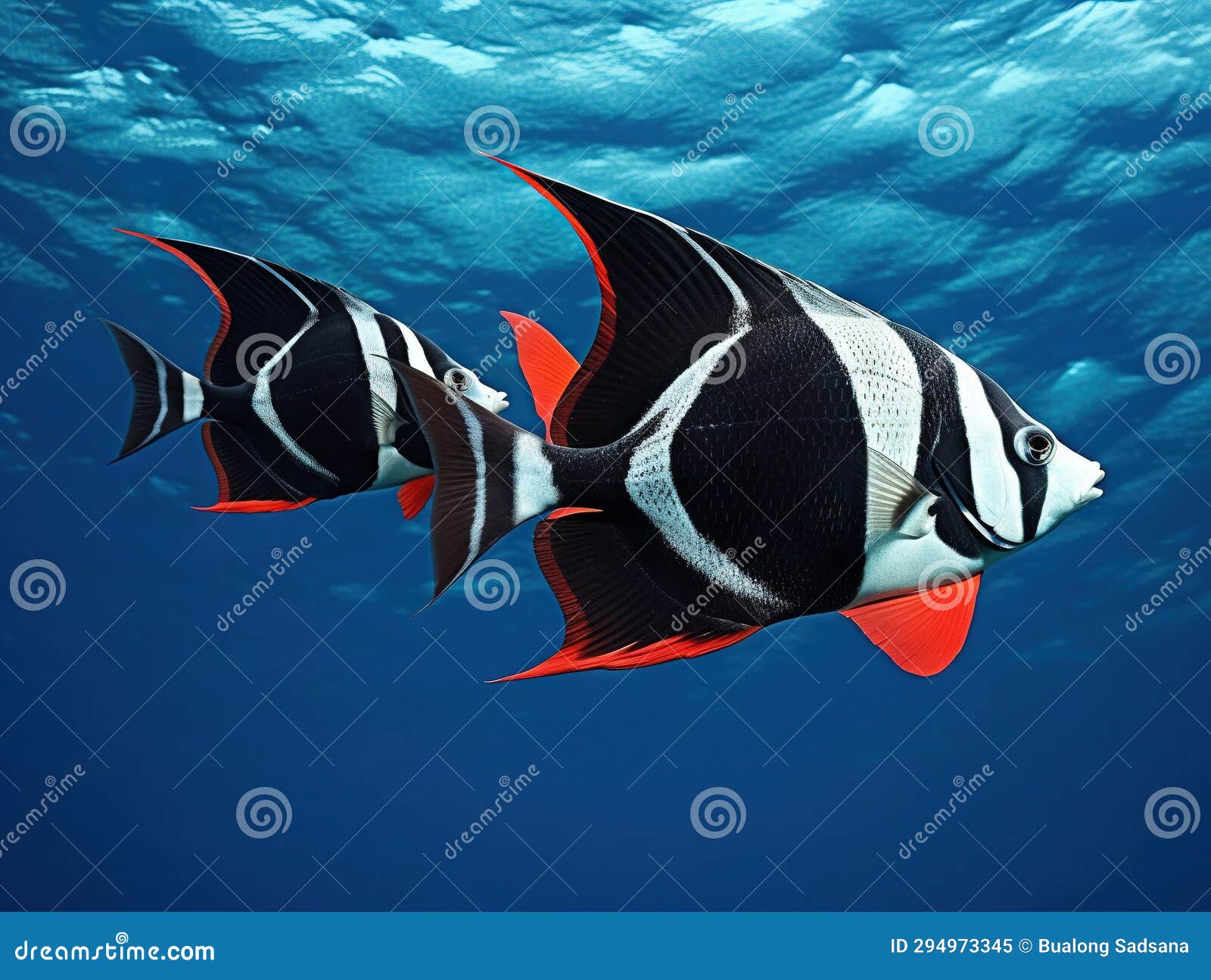 2 Pennant Fish Made with Generative AI Illustration Stock Illustration ...