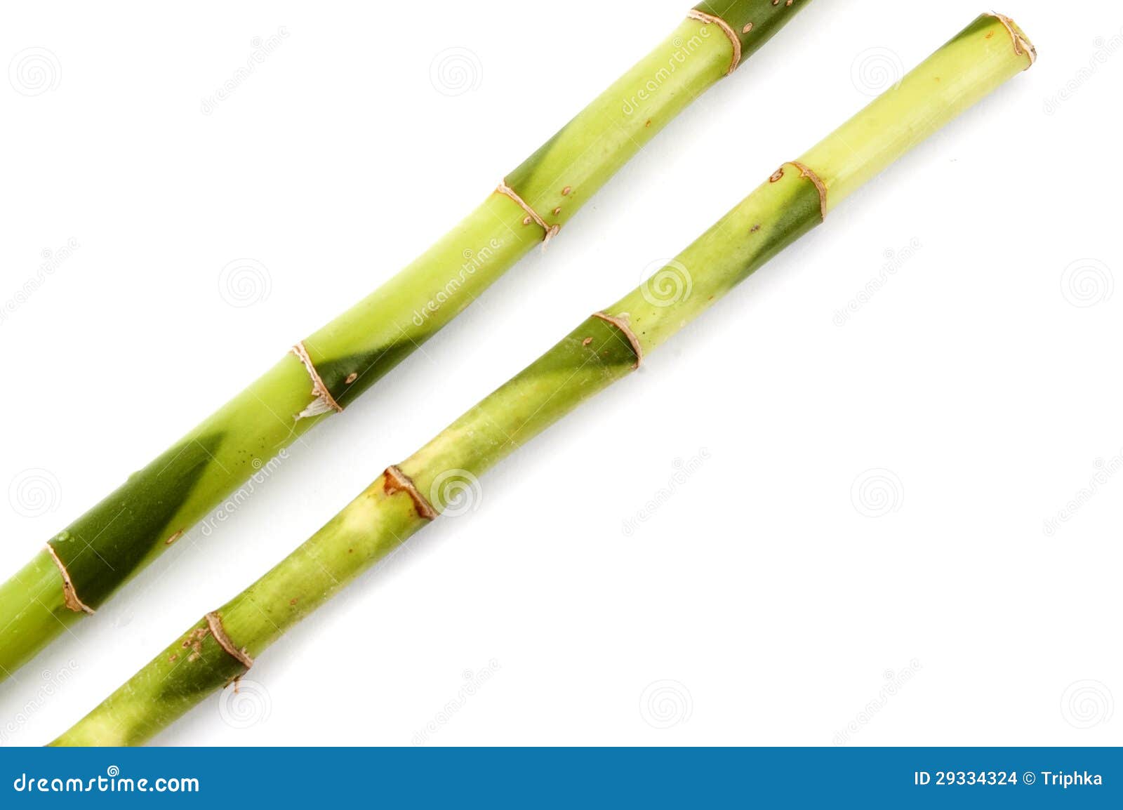2 ramos do bambu foto de stock. Imagem de folhagem, nave - 29334324