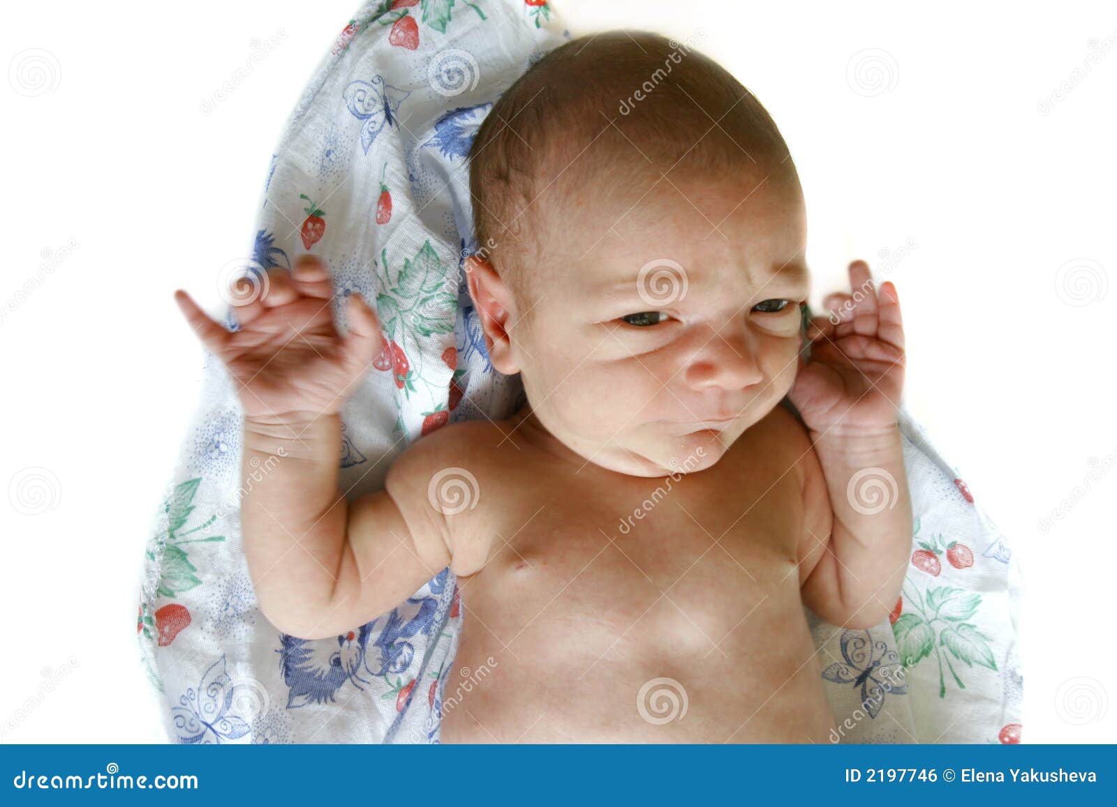 2 weeks old baby stock photo. Image of portrait, baby - 2197746