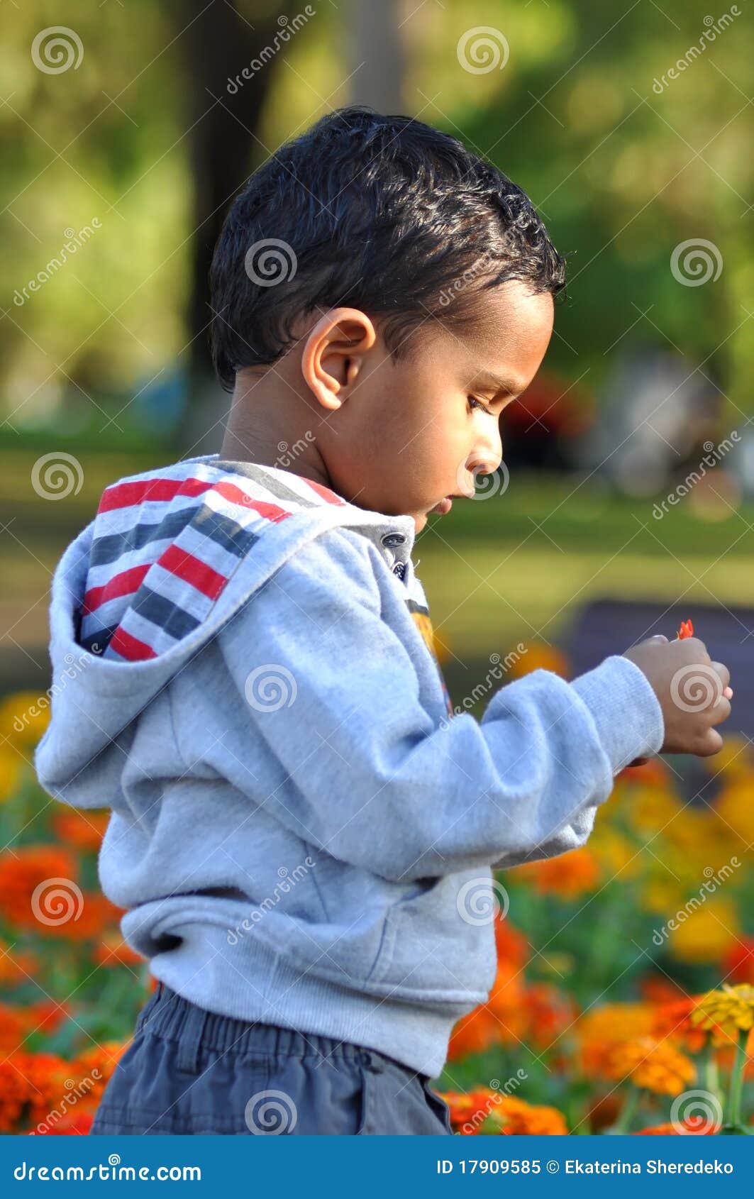 2 Years Old Boy Walking in Park Stock Image - Image of offspring, green ...