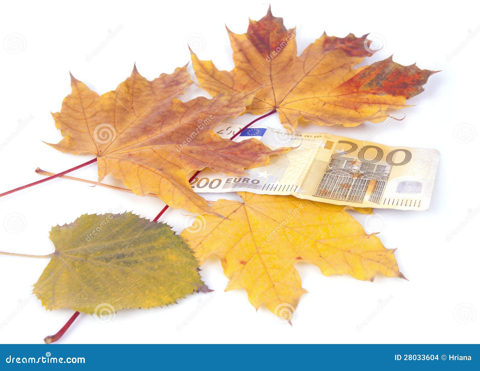200 euros with leaves stock photo. Image of yellow, banknote - 28033604