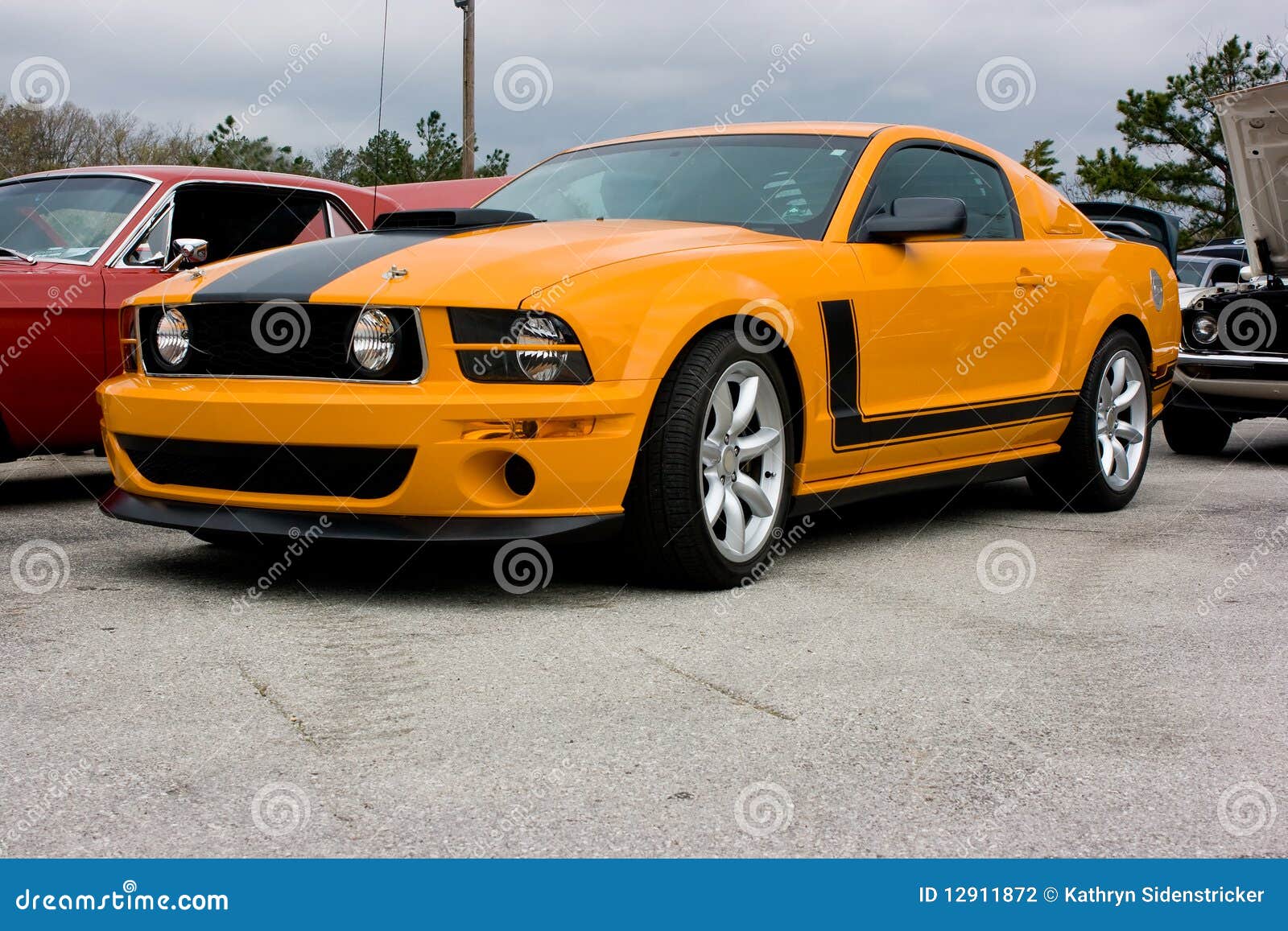 2009 Ford Mustang Boss 302 stock photo. Image of cowl - 12911872