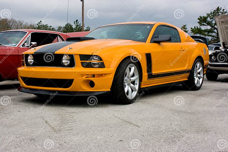 2009 Ford Mustang Boss 302 stock photo. Image of cowl - 12911872