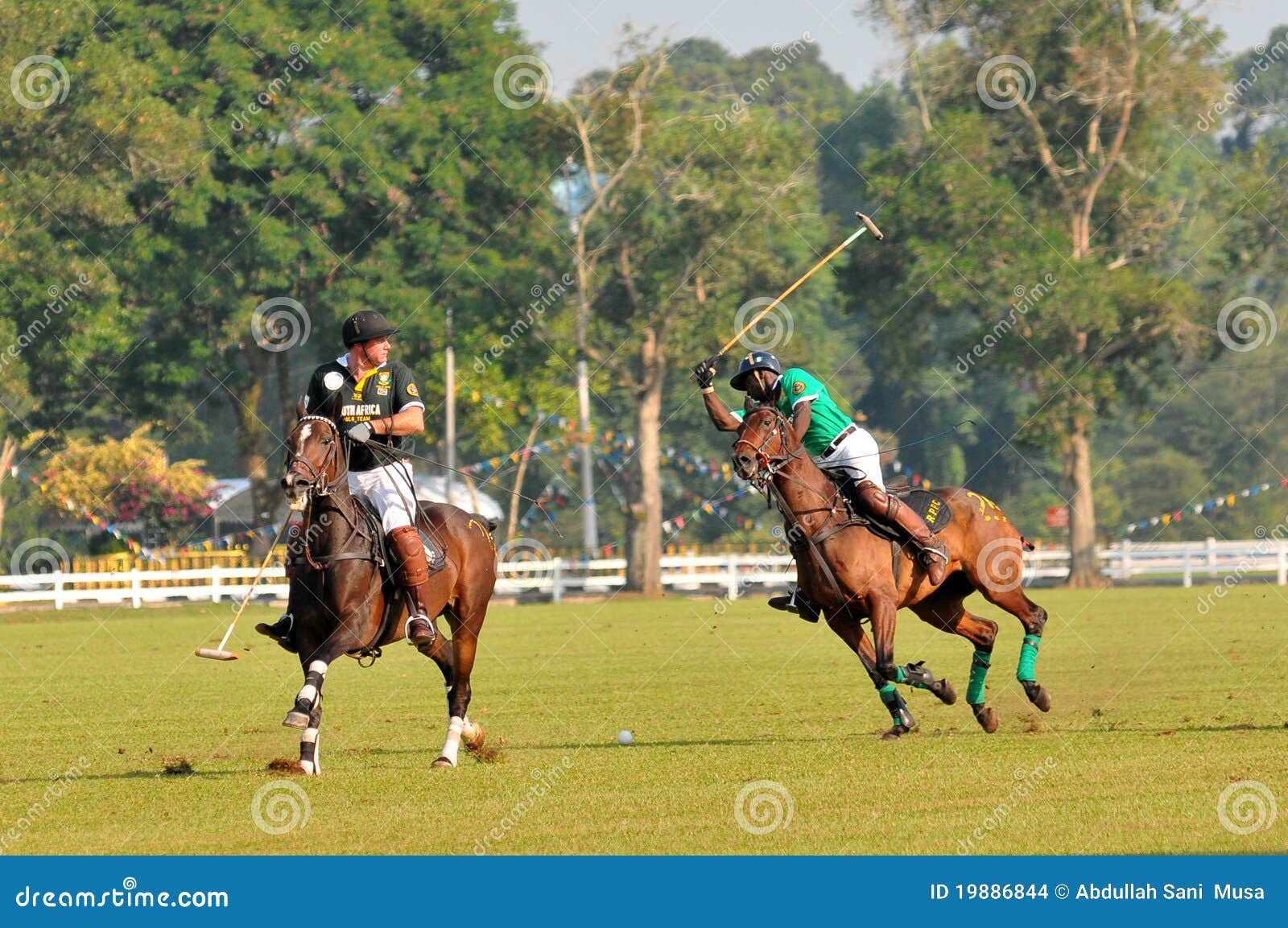 2011 FIP POLO WORLD CUP editorial stock image. Image of polo - 19886844
