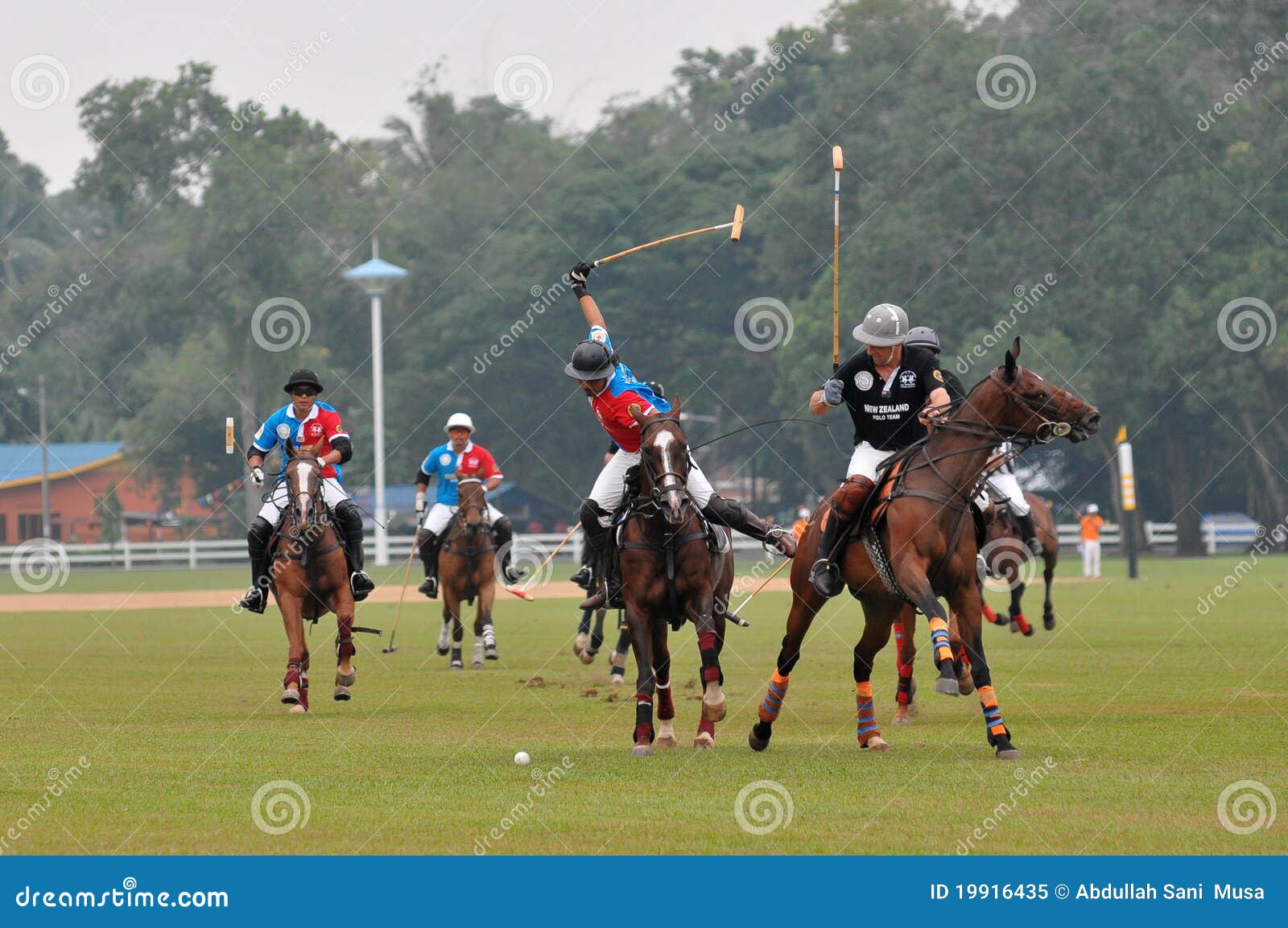 2011 FIP POLO WORLD CUP editorial image. Image of equestrian - 19916435