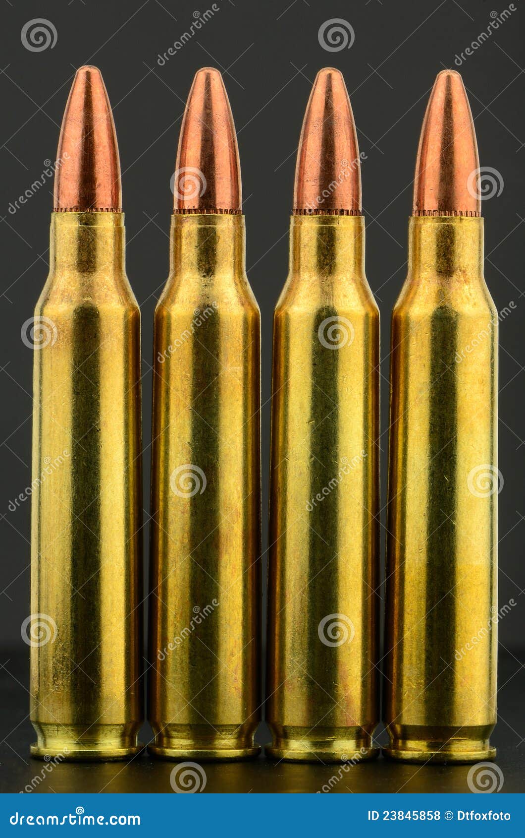 223 CAL stock photo. Image of head, round, guard, lead - 23845858