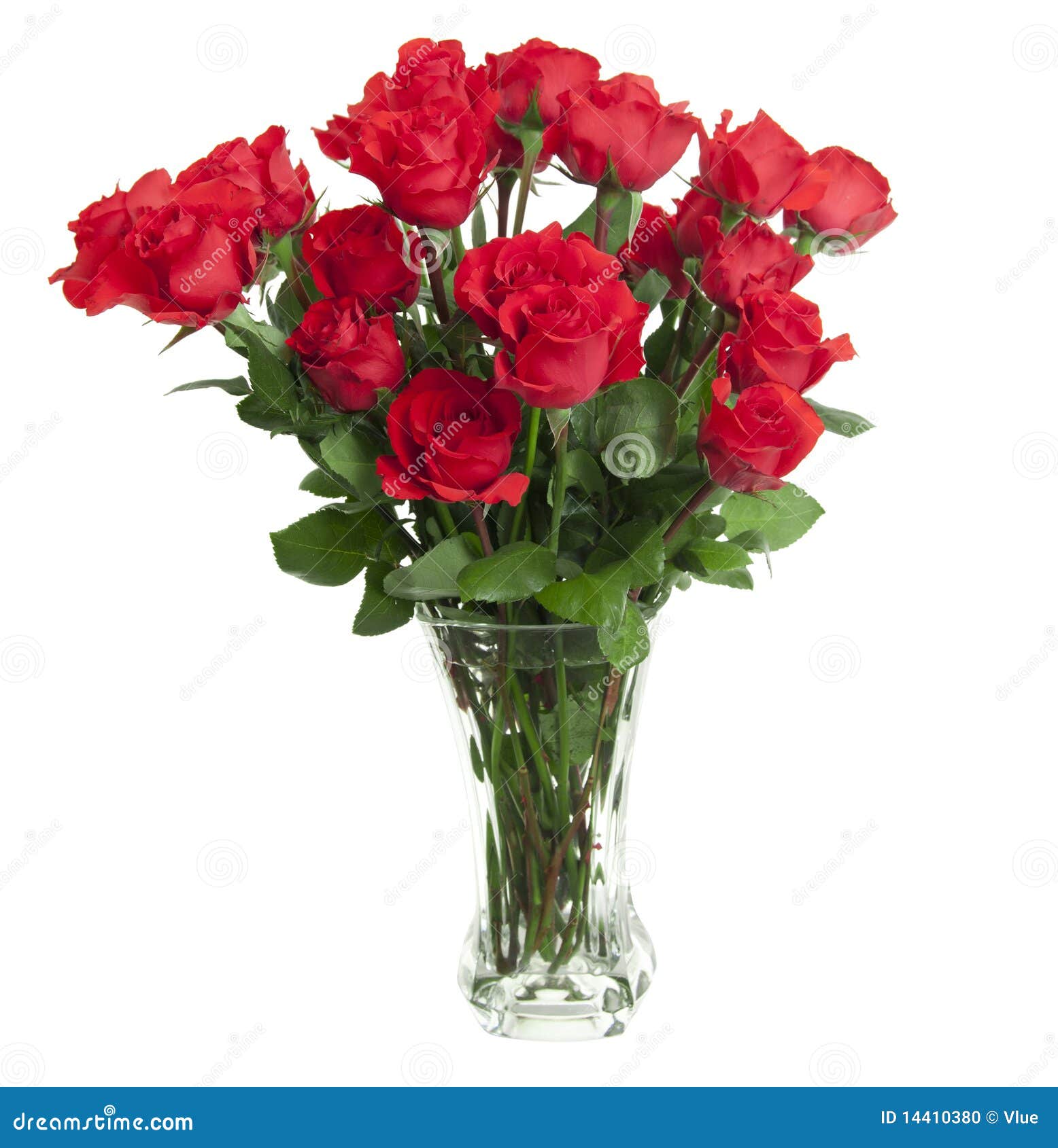 24 Roses in Glass Vase stock photo. Image of celebration - 14410380