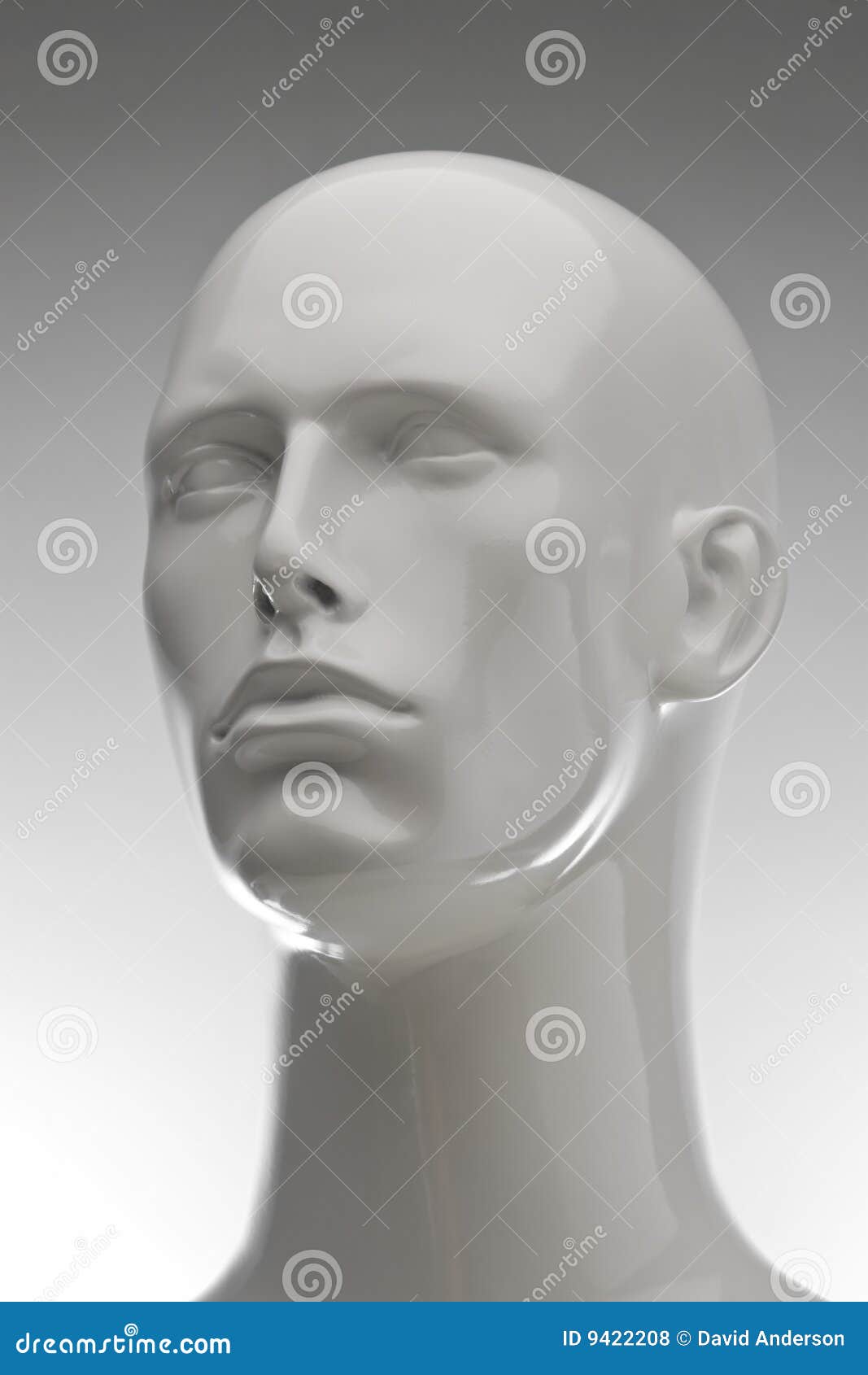 184 3 4 Face Model Stock Photos - Free & Royalty-Free Stock Photos from ...