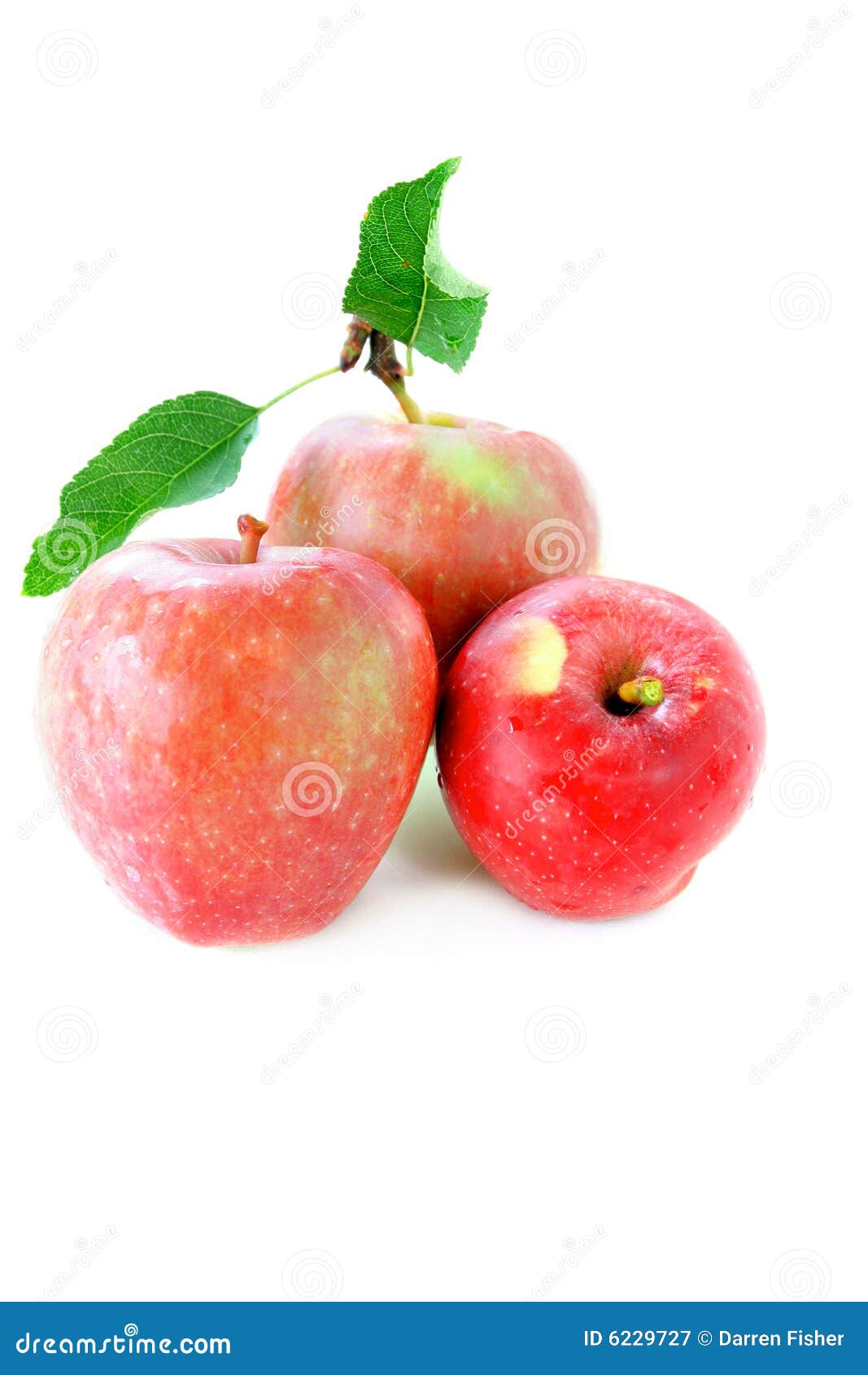 3 Apples stock image. Image of trio, white, life, fresh - 6229727