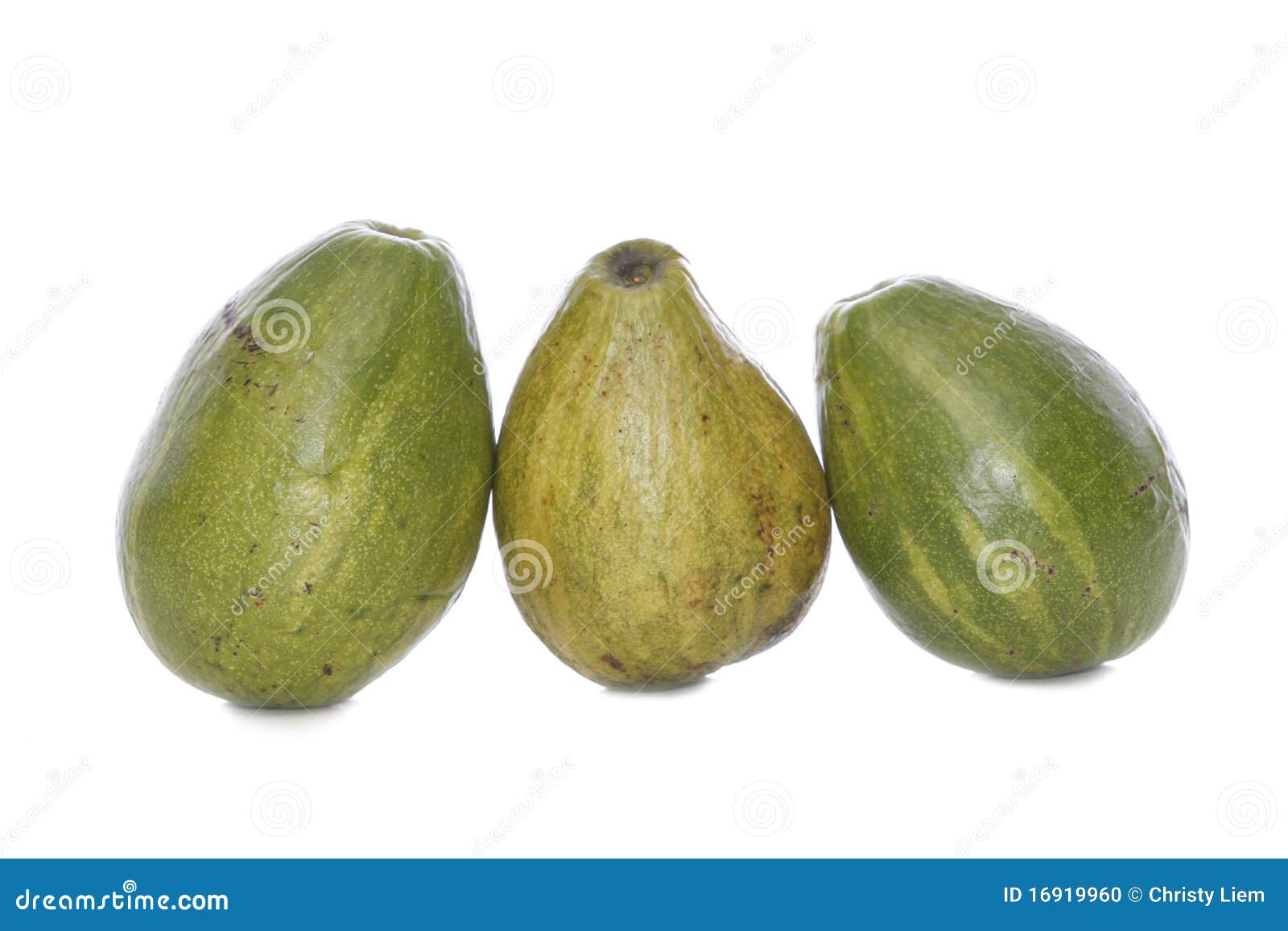 3 avocados stock photo. Image of avocado, everyday, leisure - 16919960
