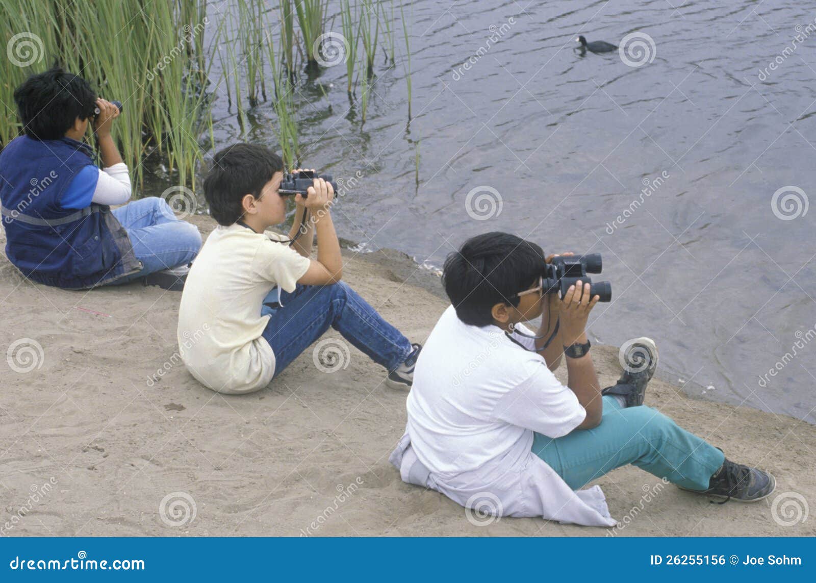 3 boys bird watching editorial photo. Image of habitat - 26255156