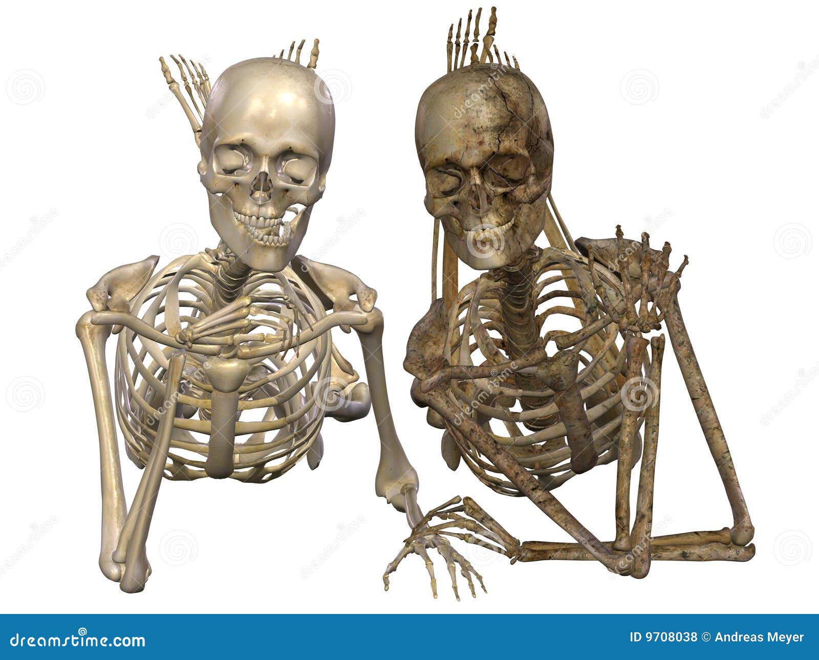 3 D Skeletons - Friends for Ever Stock Illustration - Illustration of ...