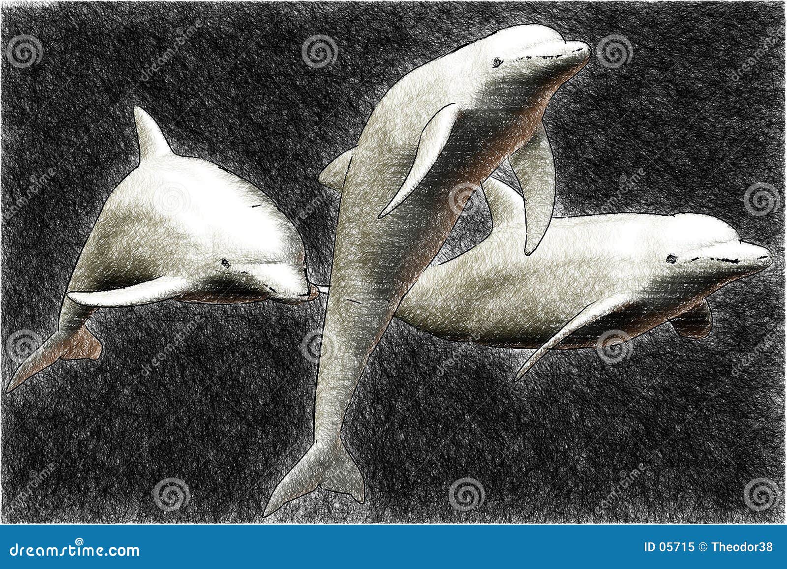 3 dolphin sketch stock illustration. Illustration of friend - 5715