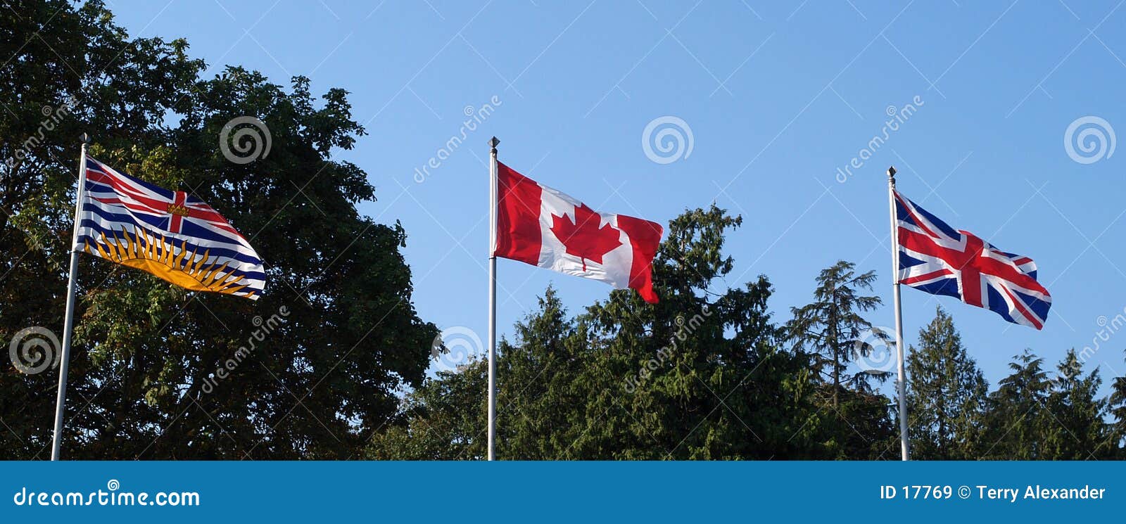 3 Flags stock image. Image of wind, travel, leaf, poles - 17769