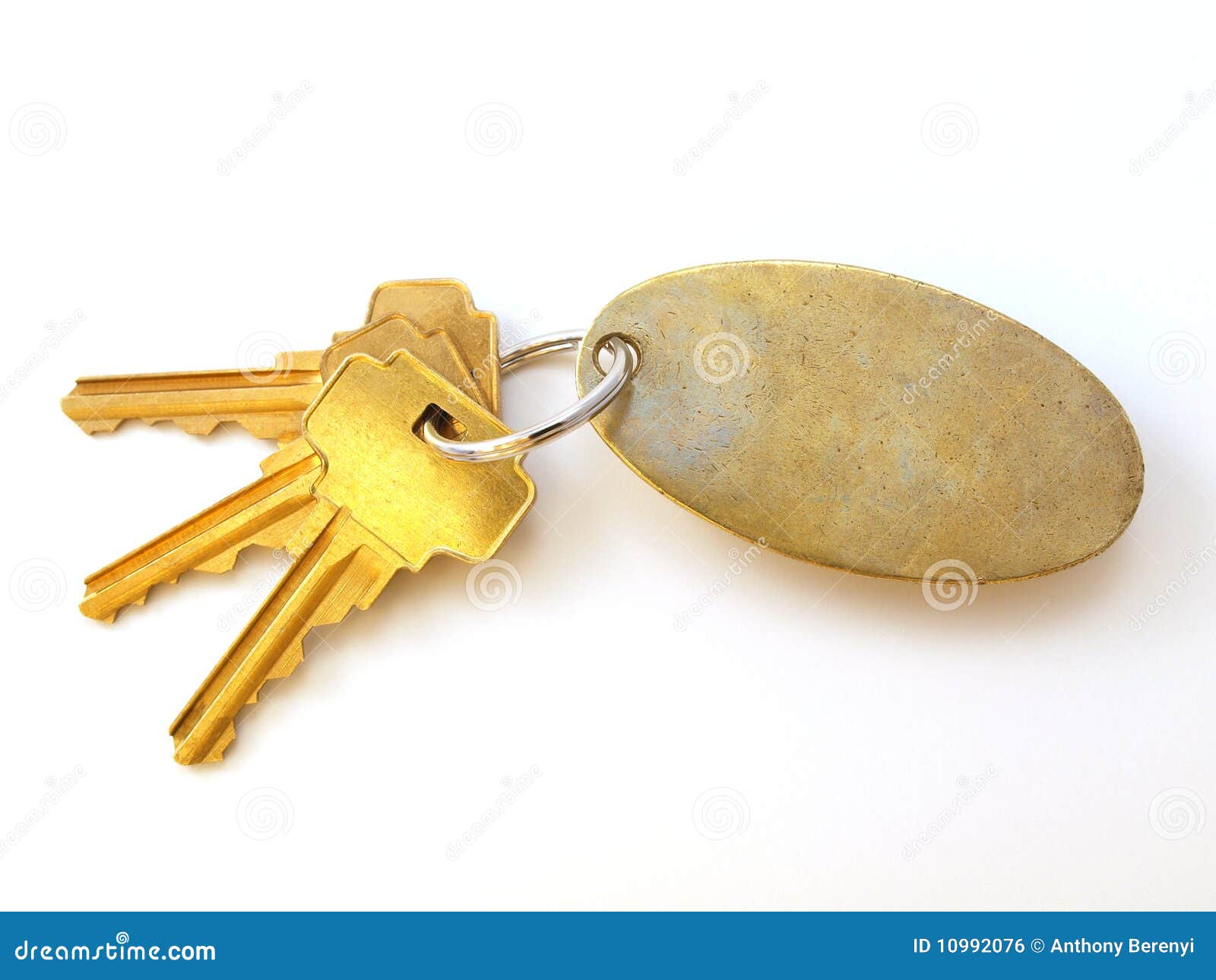3 Gold Keys and Blank Keychain on White Stock Photo - Image of isolated ...