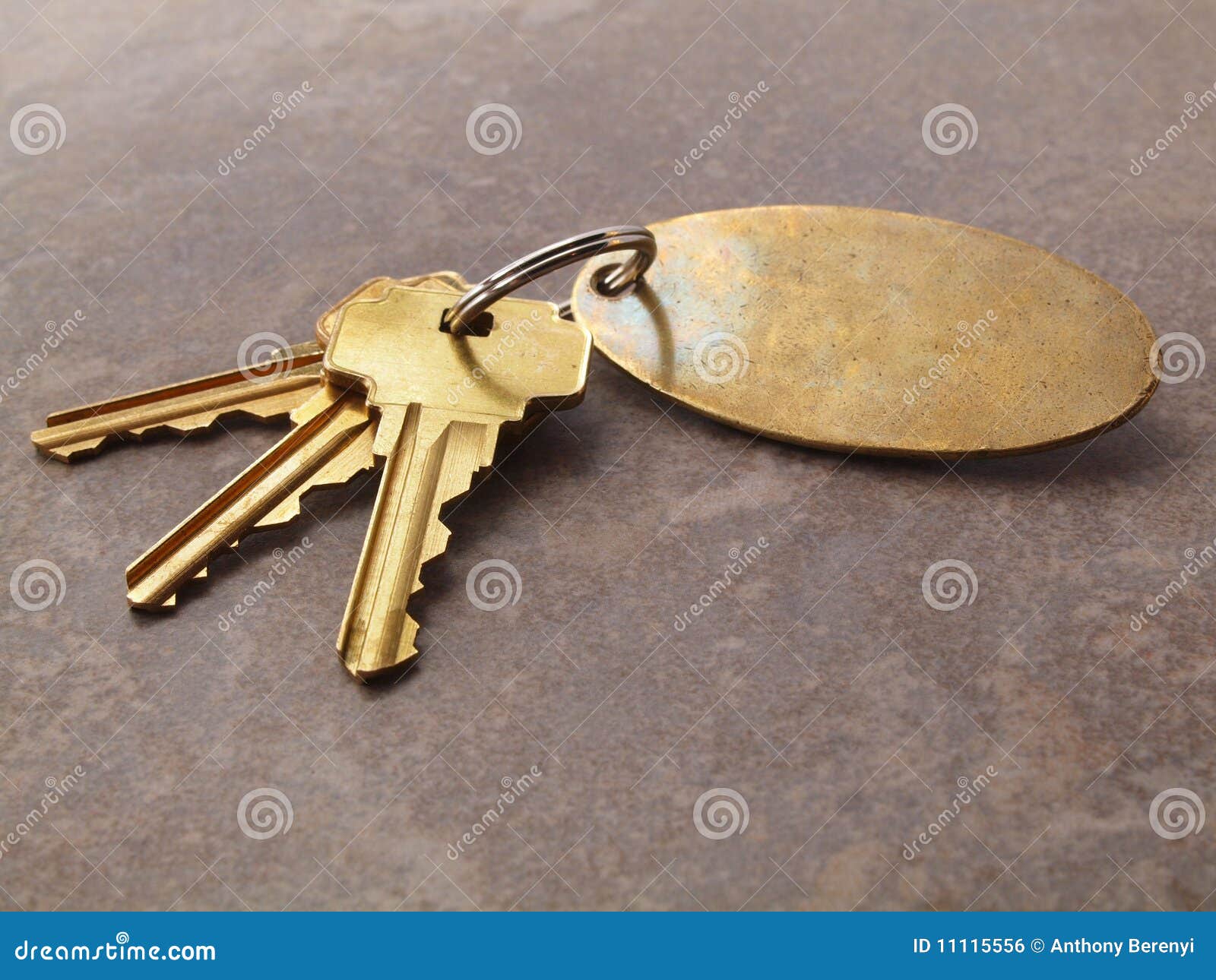 3 Keys and Keychain on Tile Stock Photo - Image of secure, lock: 11115556