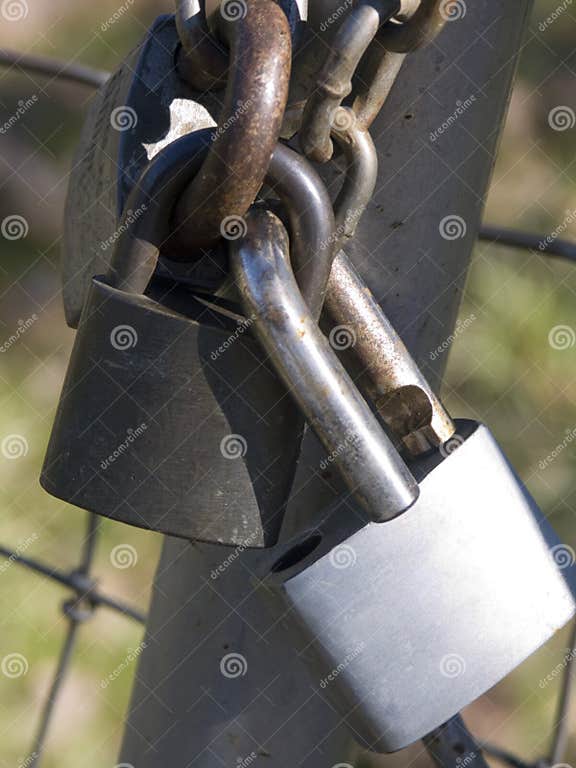 3 Padlocks Linked Together stock image. Image of security - 603313