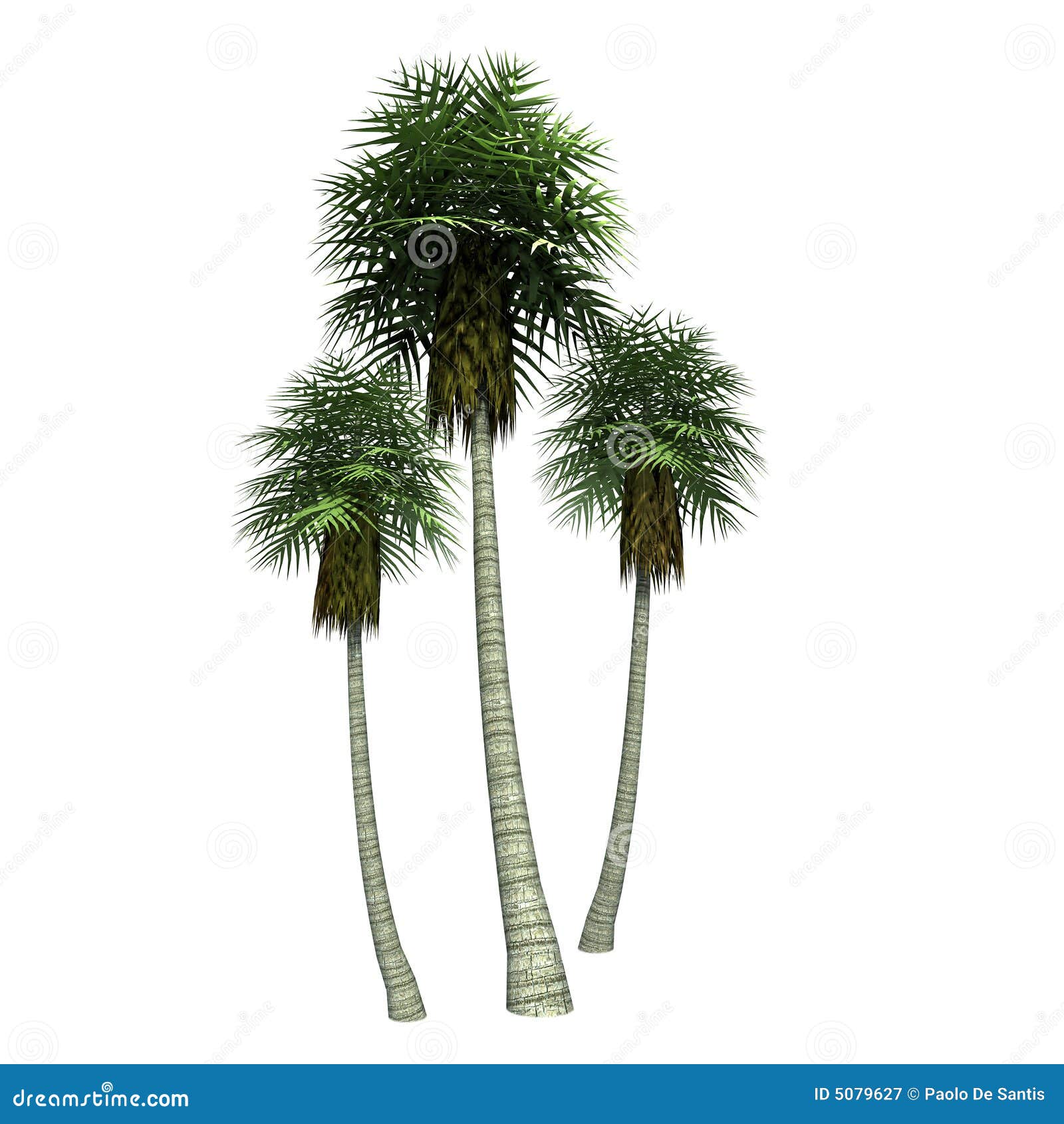 3 palms stock illustration. Illustration of sunny, digital - 5079627