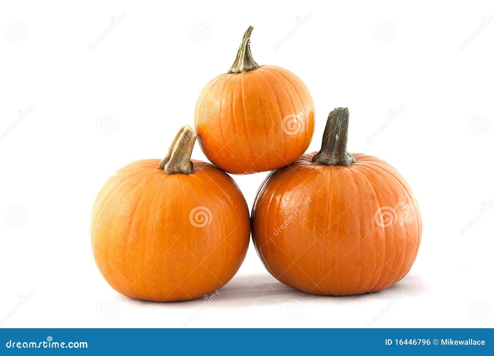3 Pumpkins Stacked stock photo. Image of thanksgiving - 16446796