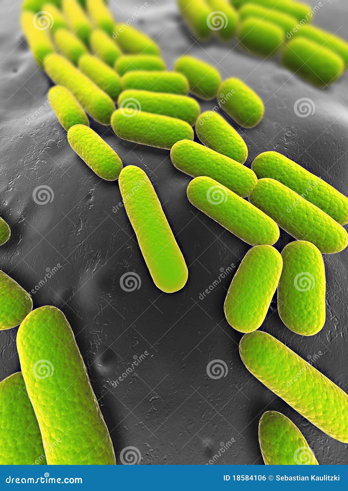 3d bacteria stock illustration. Illustration of science - 18584106