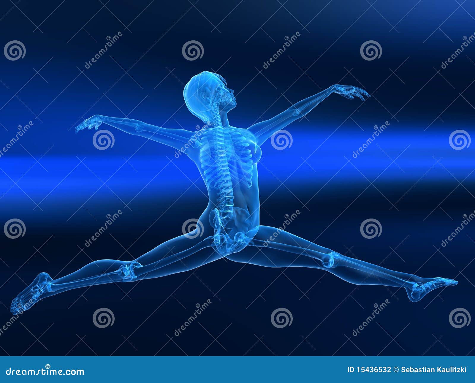 3d ballet dancer, x-ray stock illustration. Illustration of acrobat ...