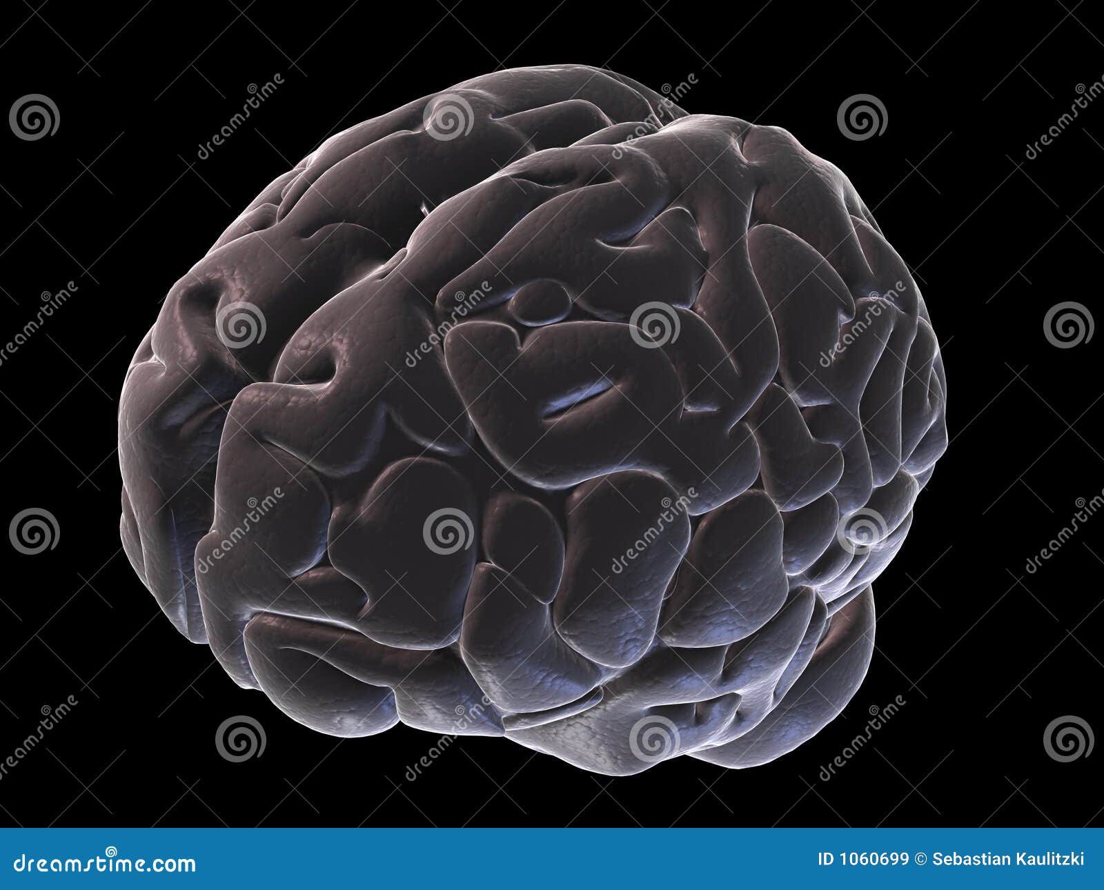 3d brain stock illustration. Illustration of psychology - 1060699