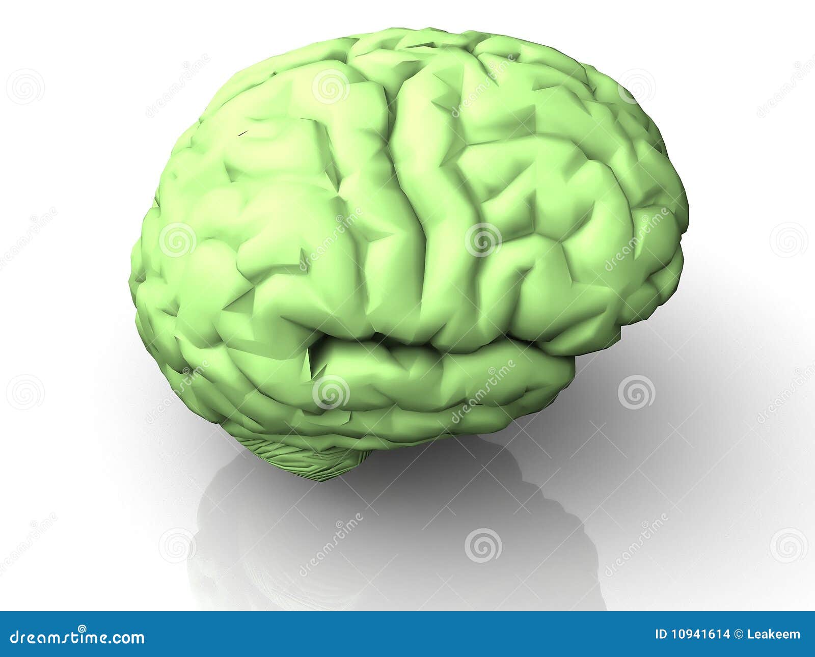 3d brain stock illustration. Illustration of internal - 10941614