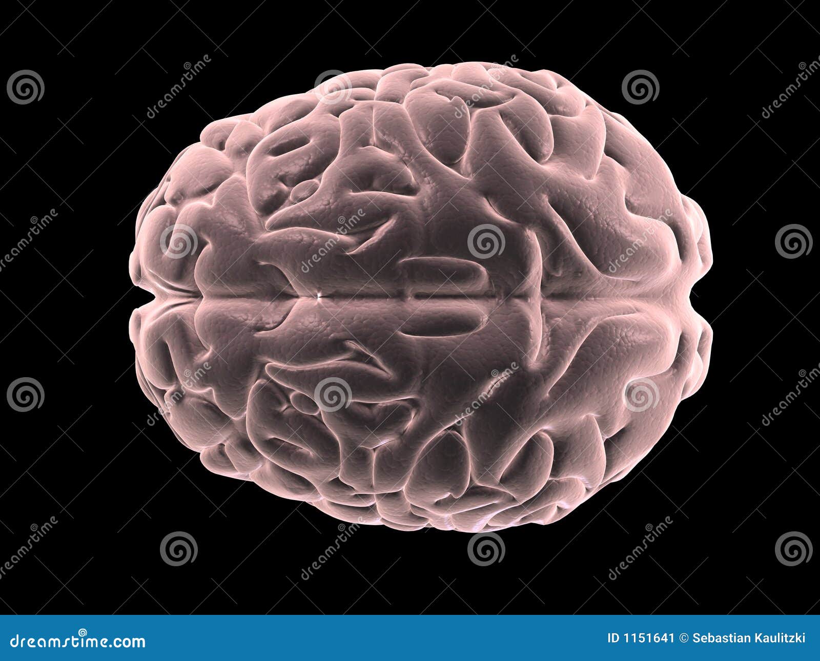 Psychology Brain Model